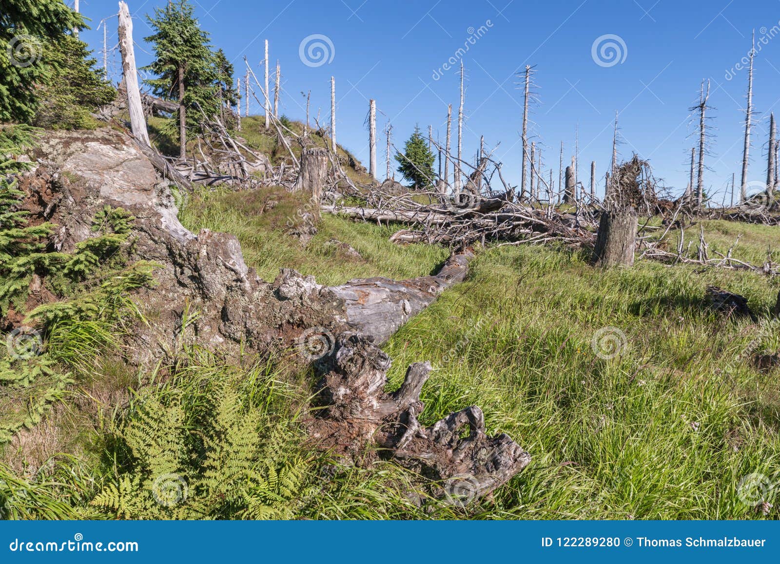 Alpine Hut on the Mountain Great Rachel in the Bavarian Forest, Germany ...