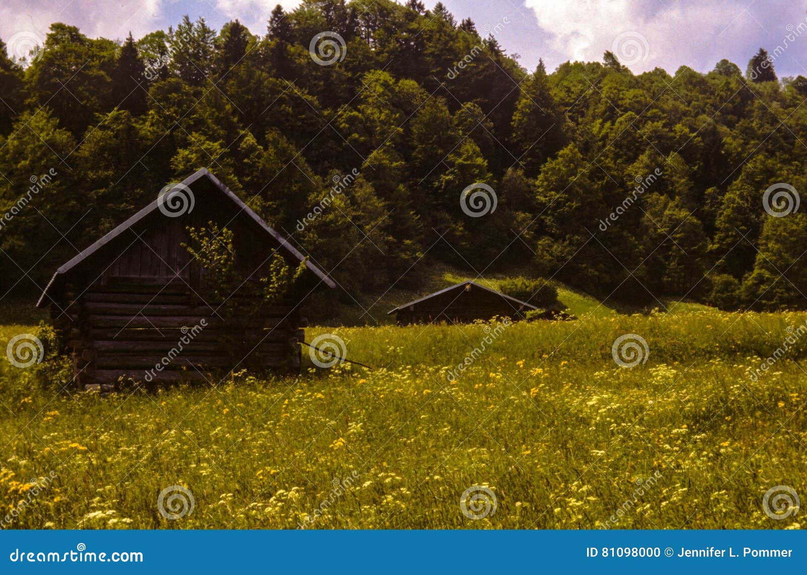 Two Rustic Huts in a Field of Wildflowers in Alps Stock Photo - Image ...