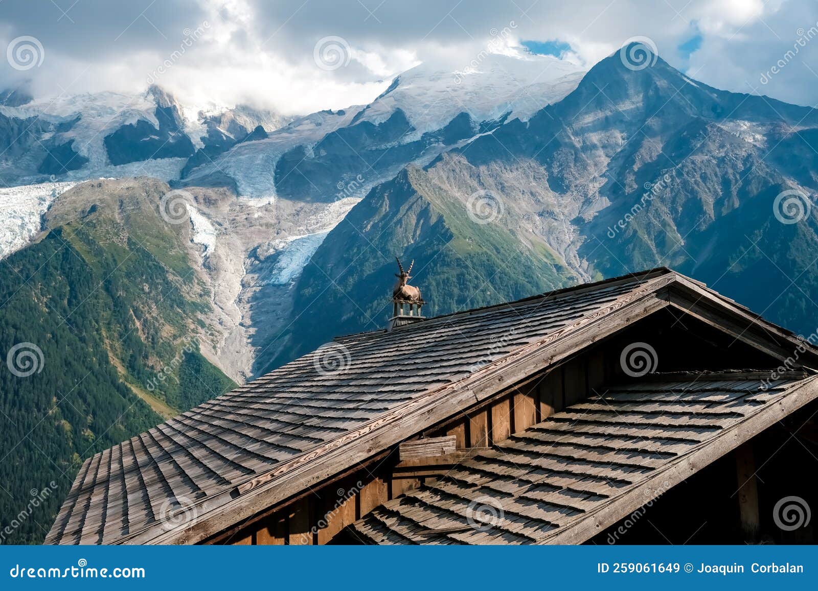 Alpine Ibex, Capra, Resting Bucolic on the Roofs of Alpine Huts ...