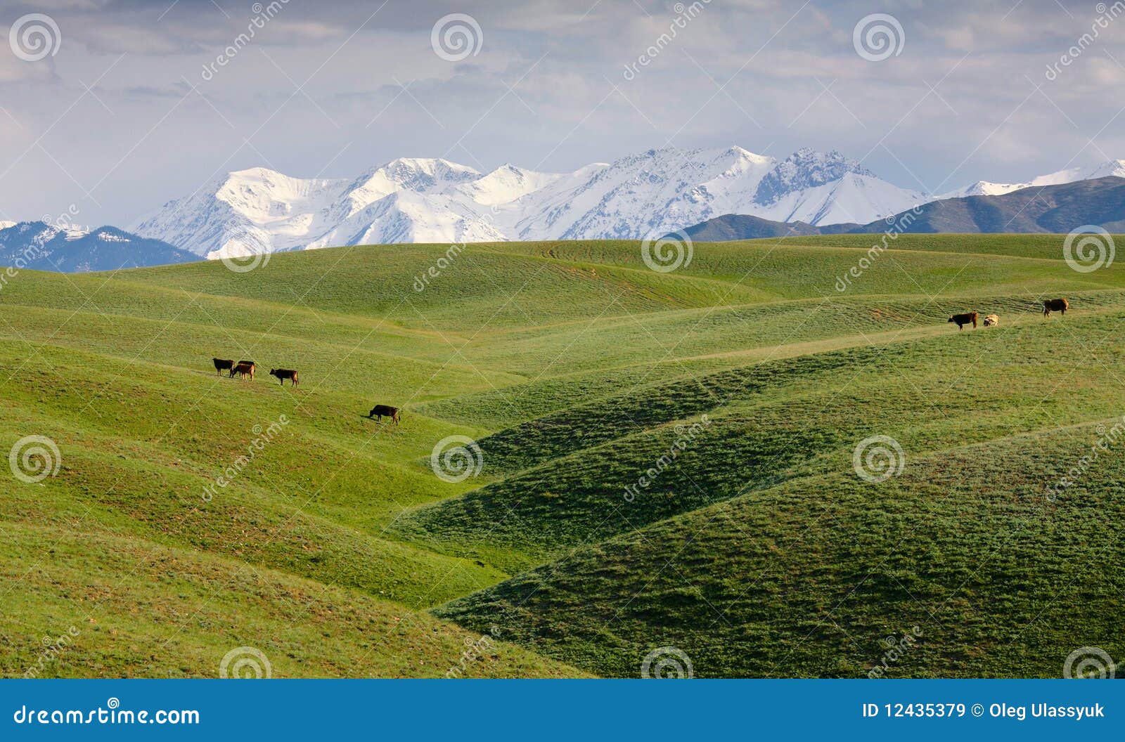 Alpine idyll stock image. Image of agriculture, cloud - 12435379