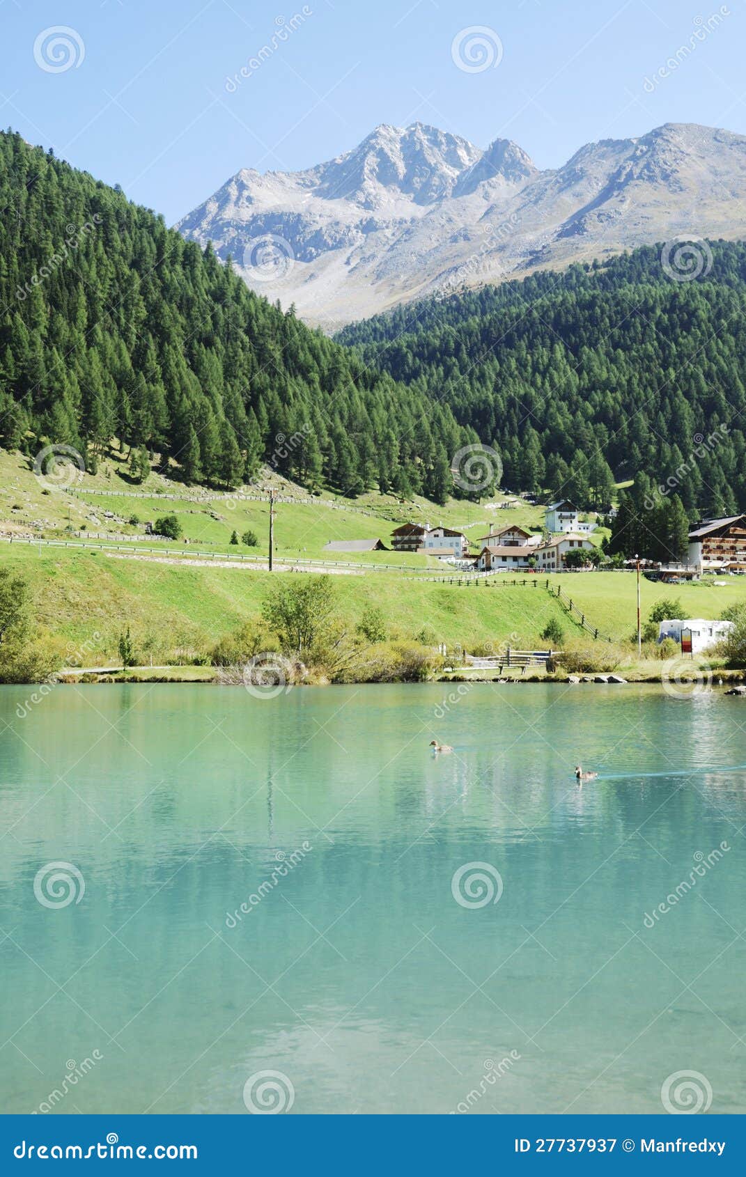 Alpine Lake stock image. Image of woods, italy, south - 27737937