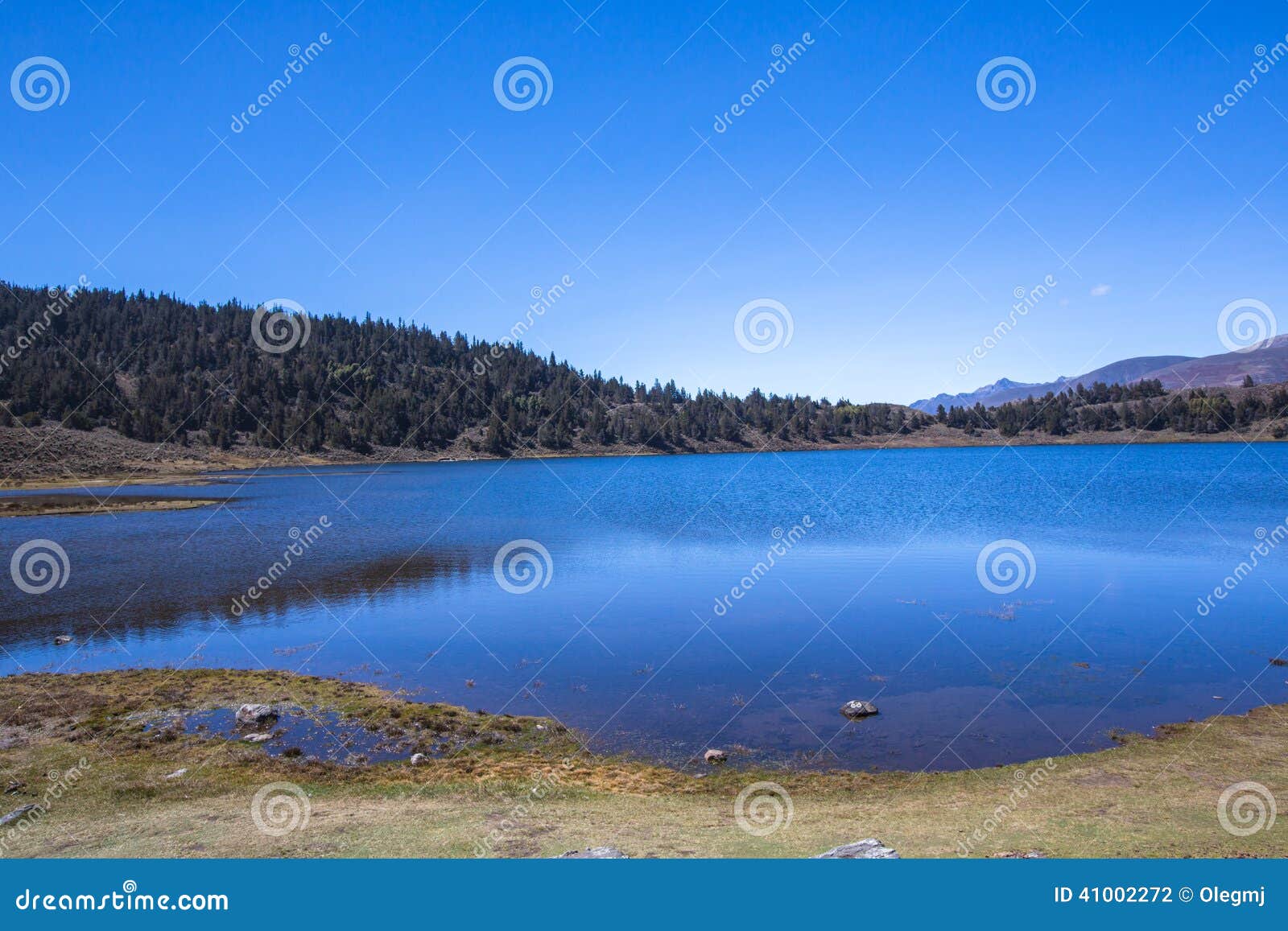 Alpine Lake. Merida Venezuela Stock Photo - Image of serenity, andes ...
