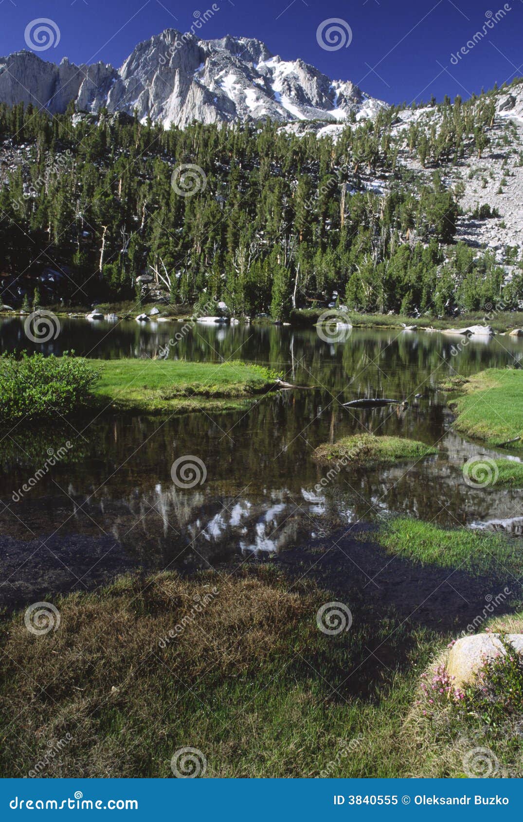 Alpine Lake Reflections in Sierra Nevada Stock Image - Image of scenic ...