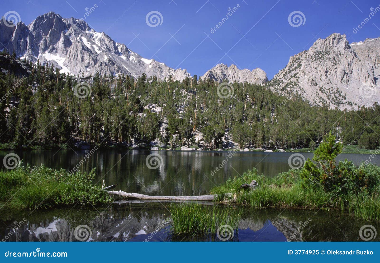 Alpine Lake in Sierra Nevada Stock Image - Image of forest, beauty: 3774925