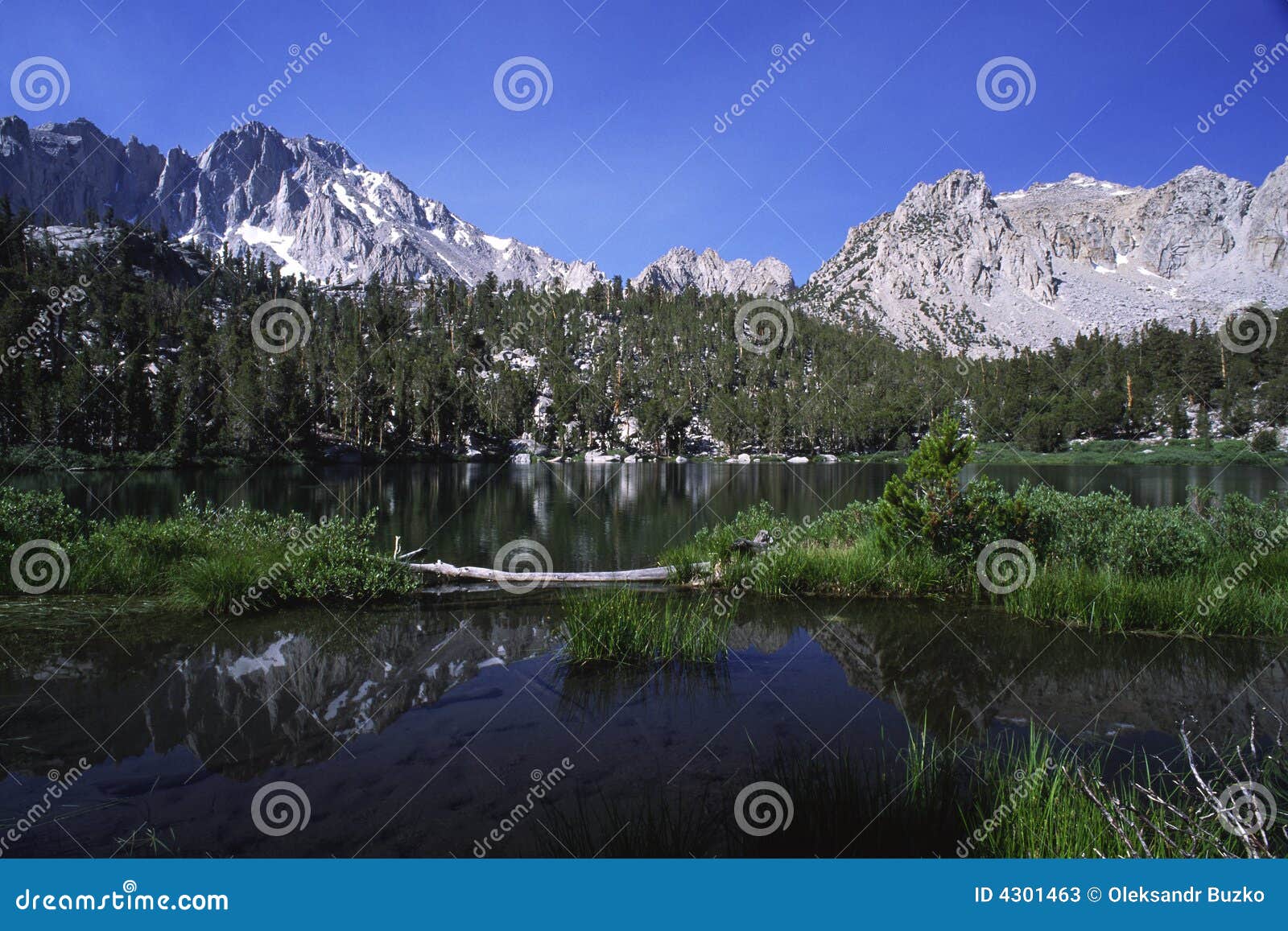 Alpine Lake in Sierra Nevada of California Stock Image - Image of view ...