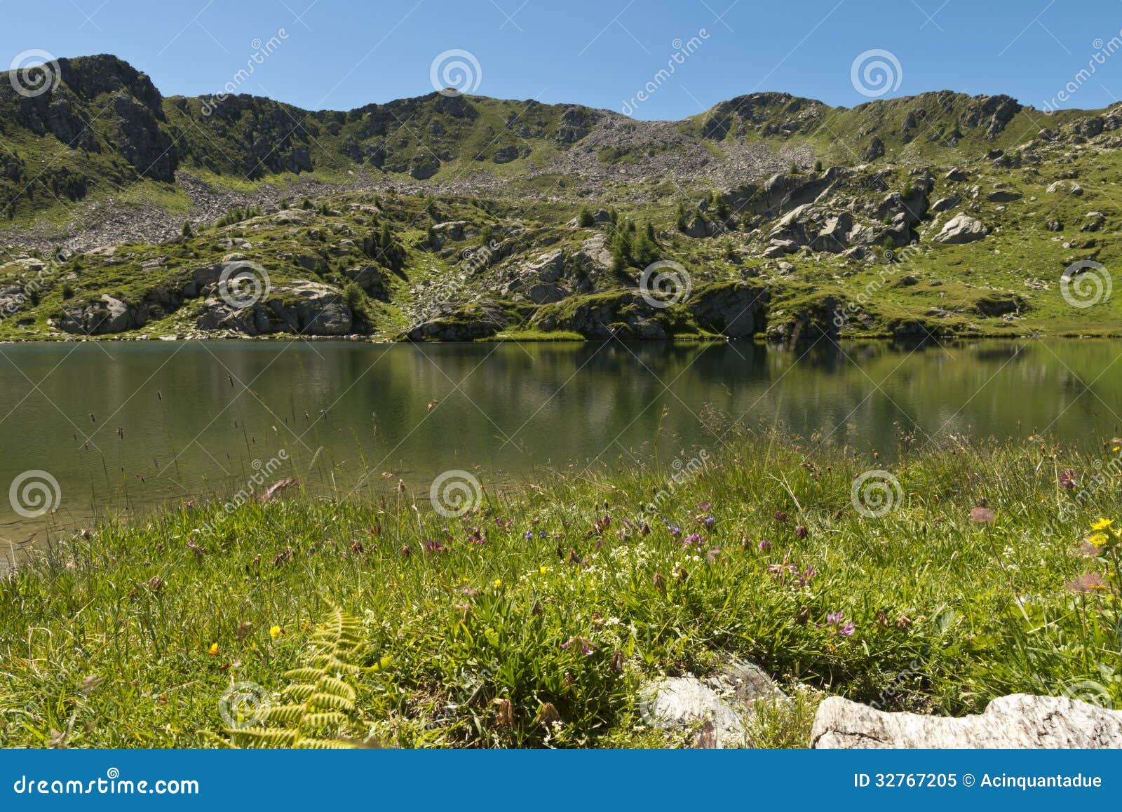 Alpine lake in summer stock image. Image of grass, wilderness - 32767205