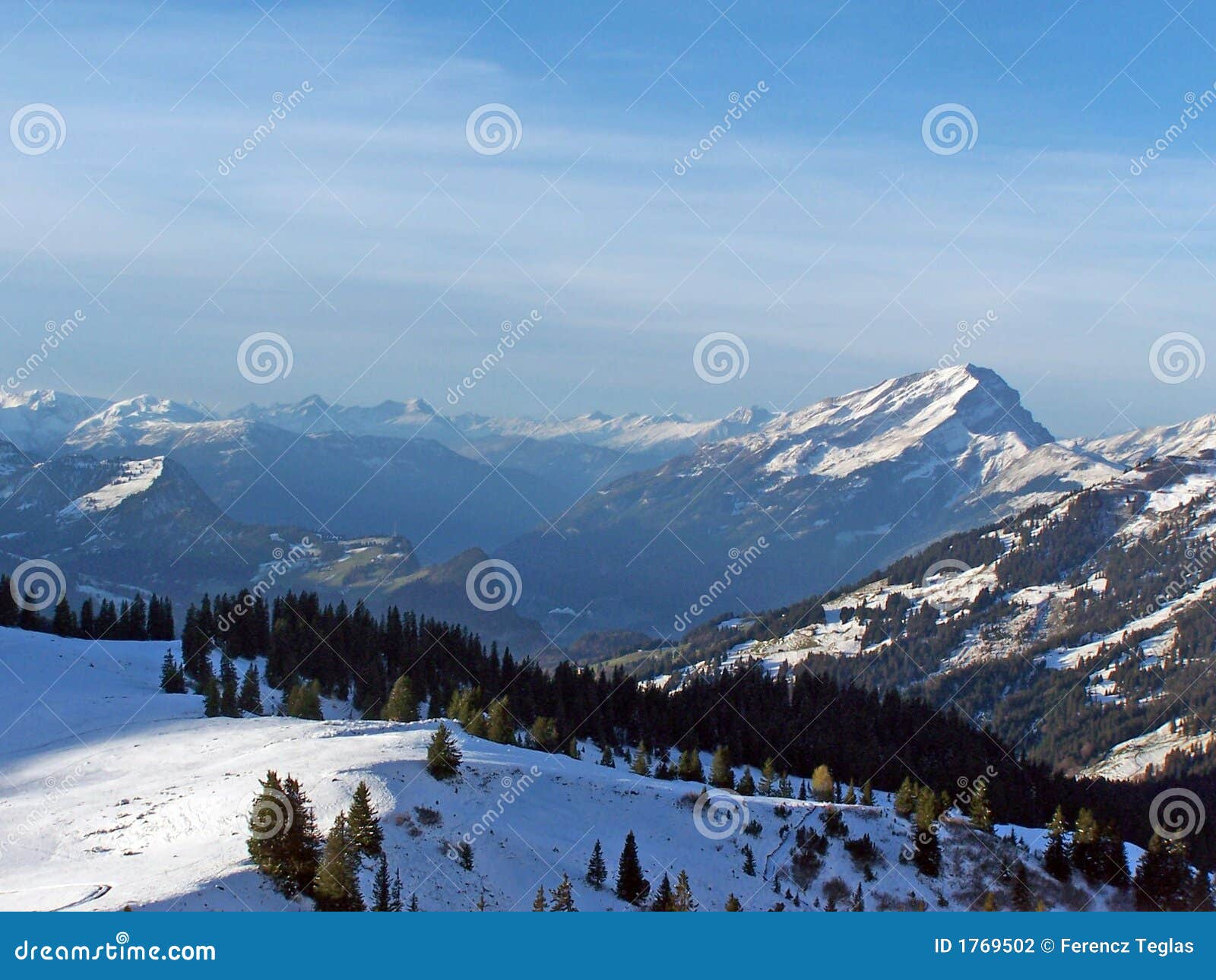 Alpine Landscape stock photo. Image of snow, alps, forest - 1769502