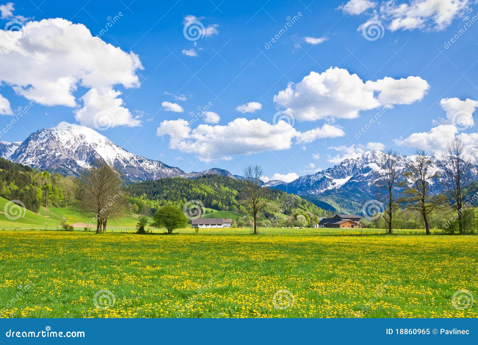 Alpine landscape stock image. Image of austria, mountainside - 18860965