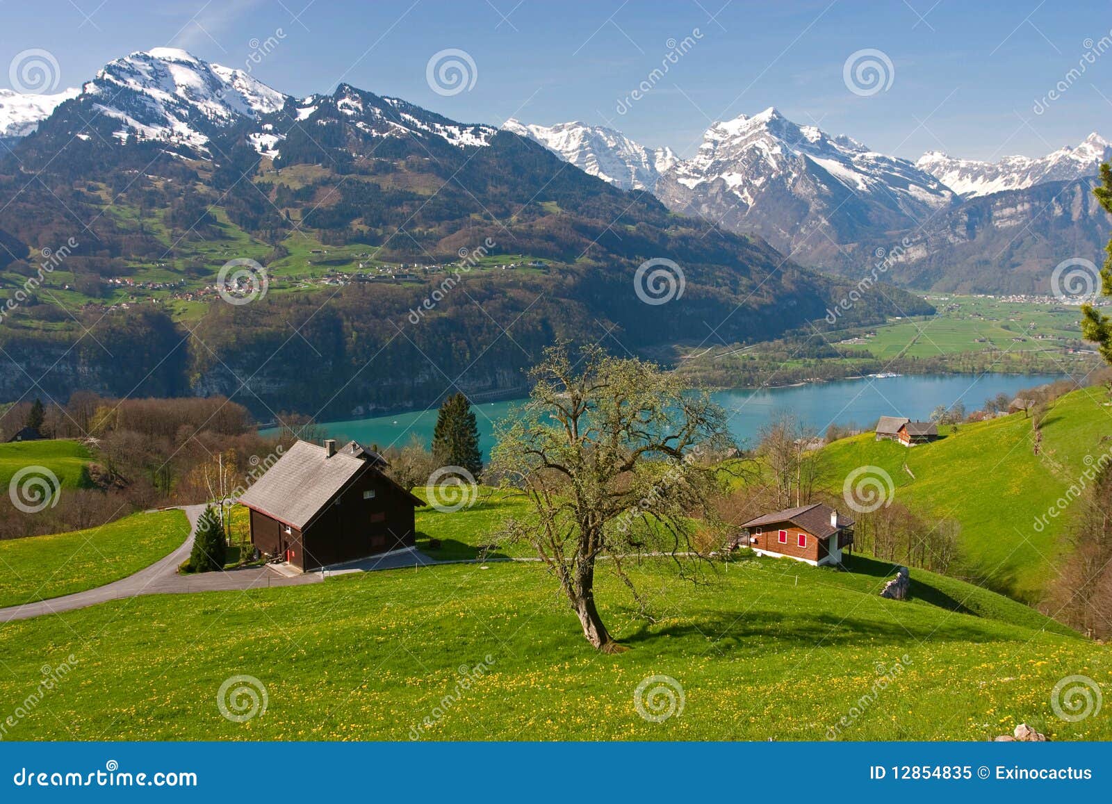 Alpine Landscape At Lake Eibsee With Zugspitze Massif Stock Photography ...