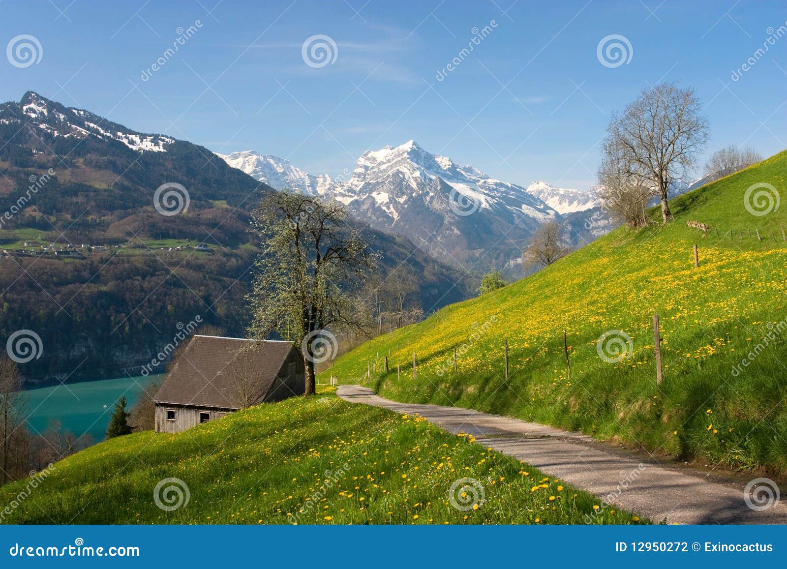 Alpine landscape in spring stock photo. Image of green - 12950272