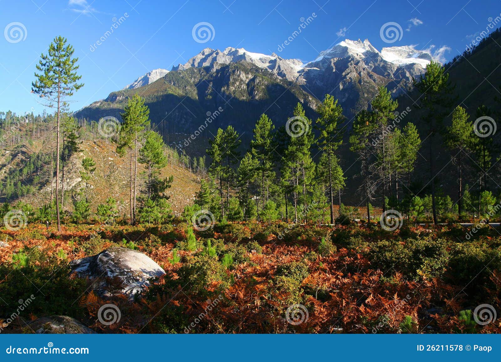 Alpine landscape of Tibet stock photo. Image of cliff - 26211578