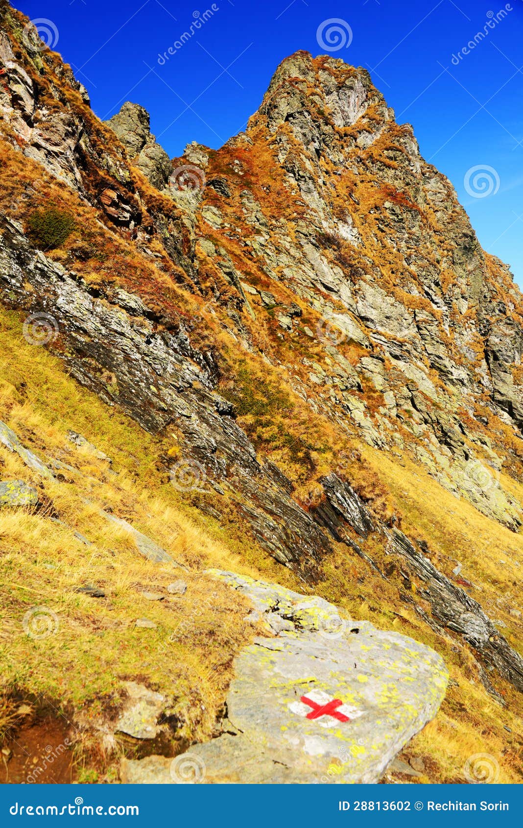 Alpine Landscape in the Transylvanian Alps Stock Photo - Image of capra ...
