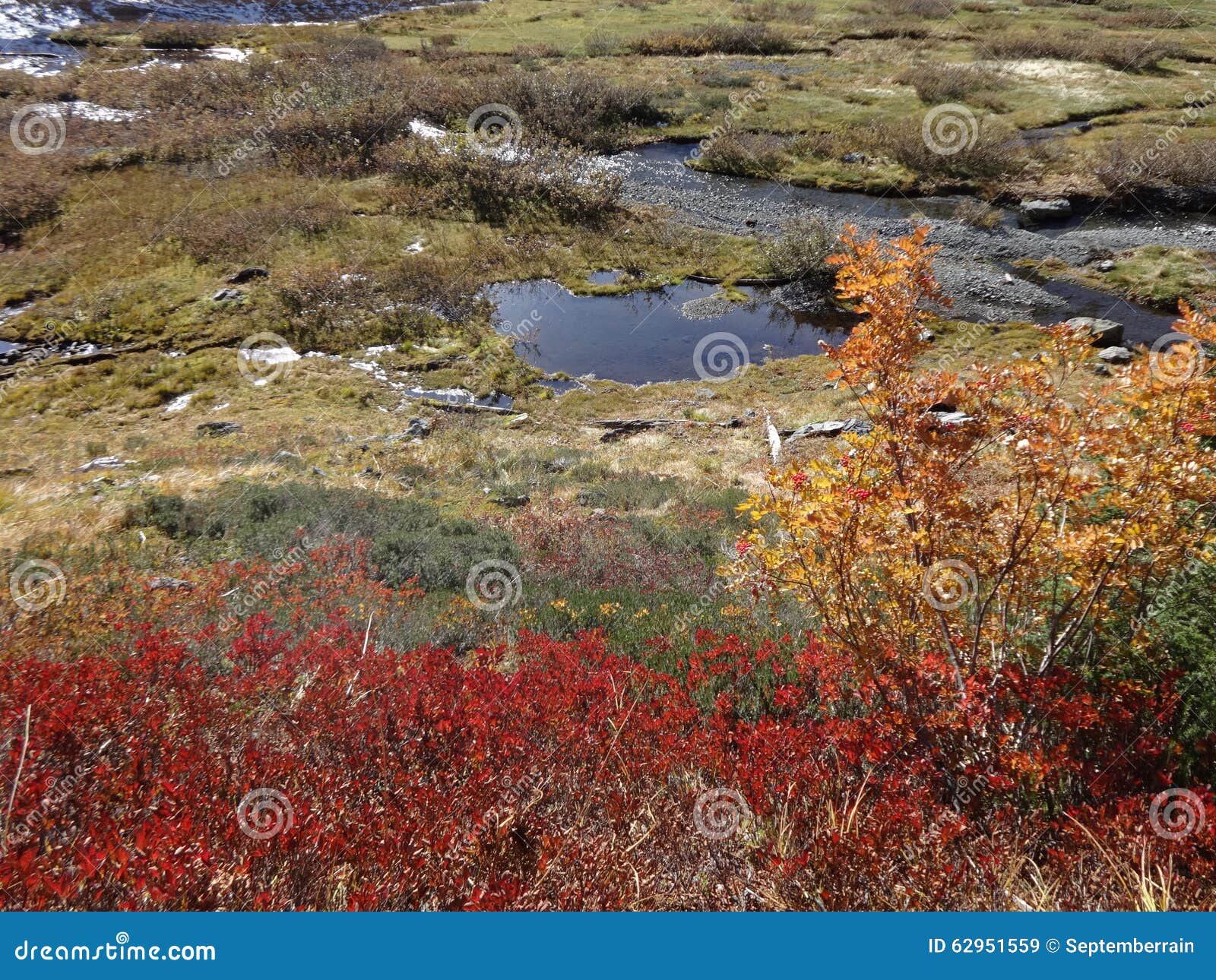 Alpine late fall scene stock image. Image of chain, ecology - 62951559