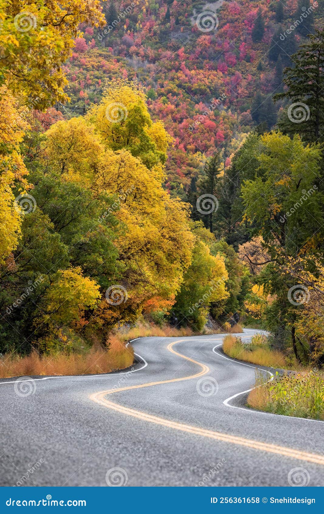 Alpine Loop Scenic Byway in Utah during Autumn Time Stock Photo - Image ...