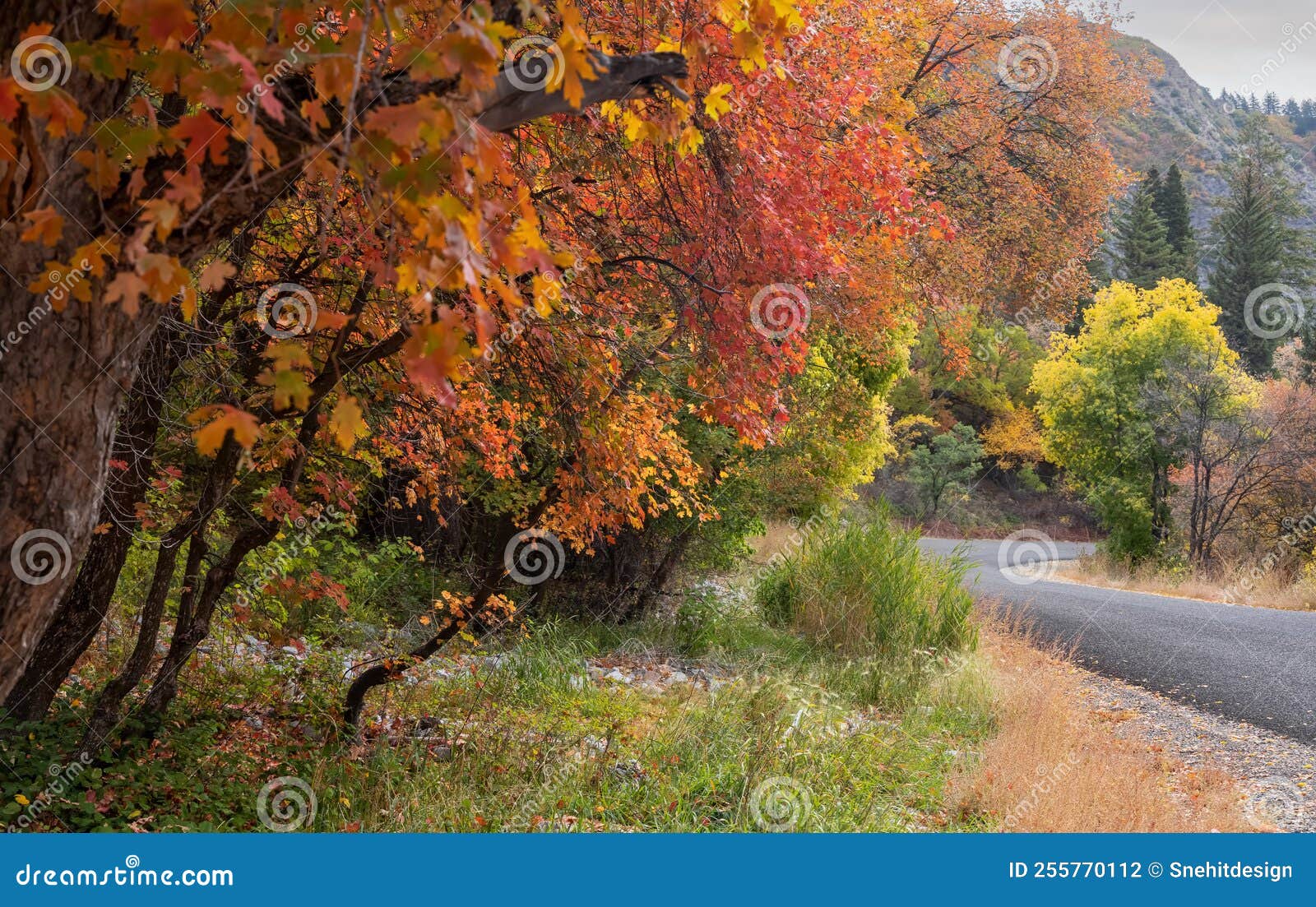 Alpine Loop Scenic Byway in Utah Stock Photo - Image of countryside ...