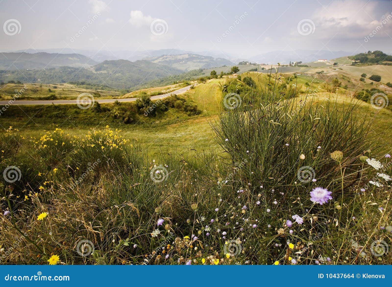 Alpine meadow stock photo. Image of meadows, alpes, range - 10437664