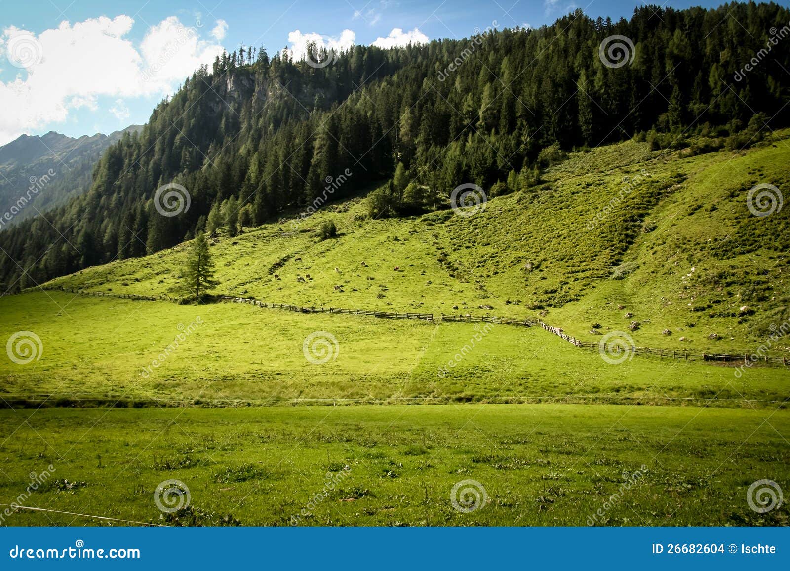 Alpine meadow stock photo. Image of hiking, blue, mountaineering - 26682604