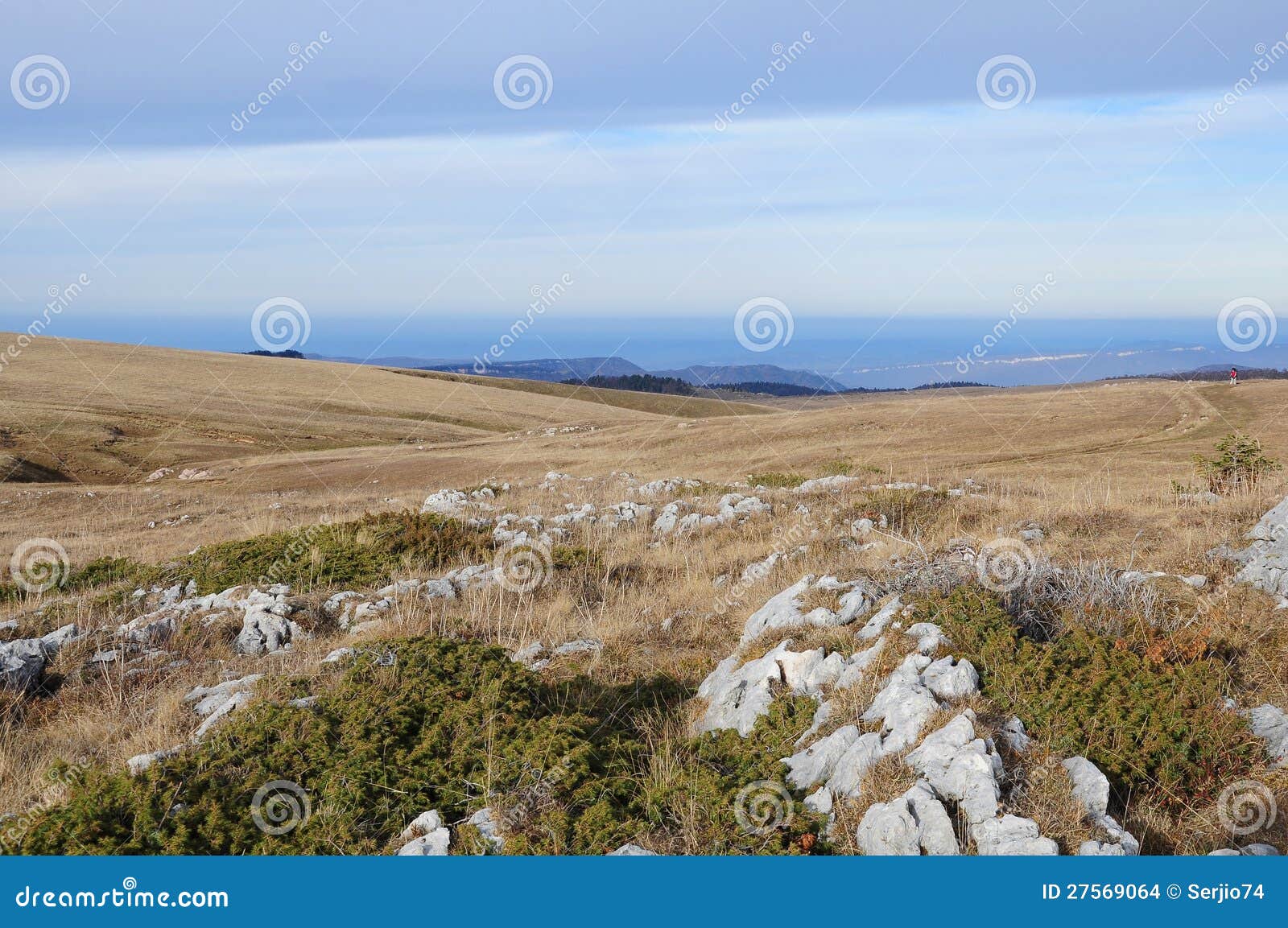 Alpine meadow. stock photo. Image of hill, wall, alps - 27569064