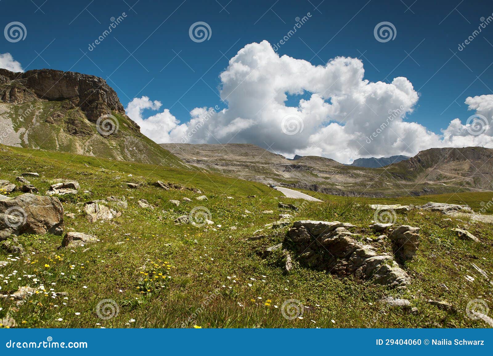 Alpine Meadow stock photo. Image of blooming, herbs, alpine - 29404060
