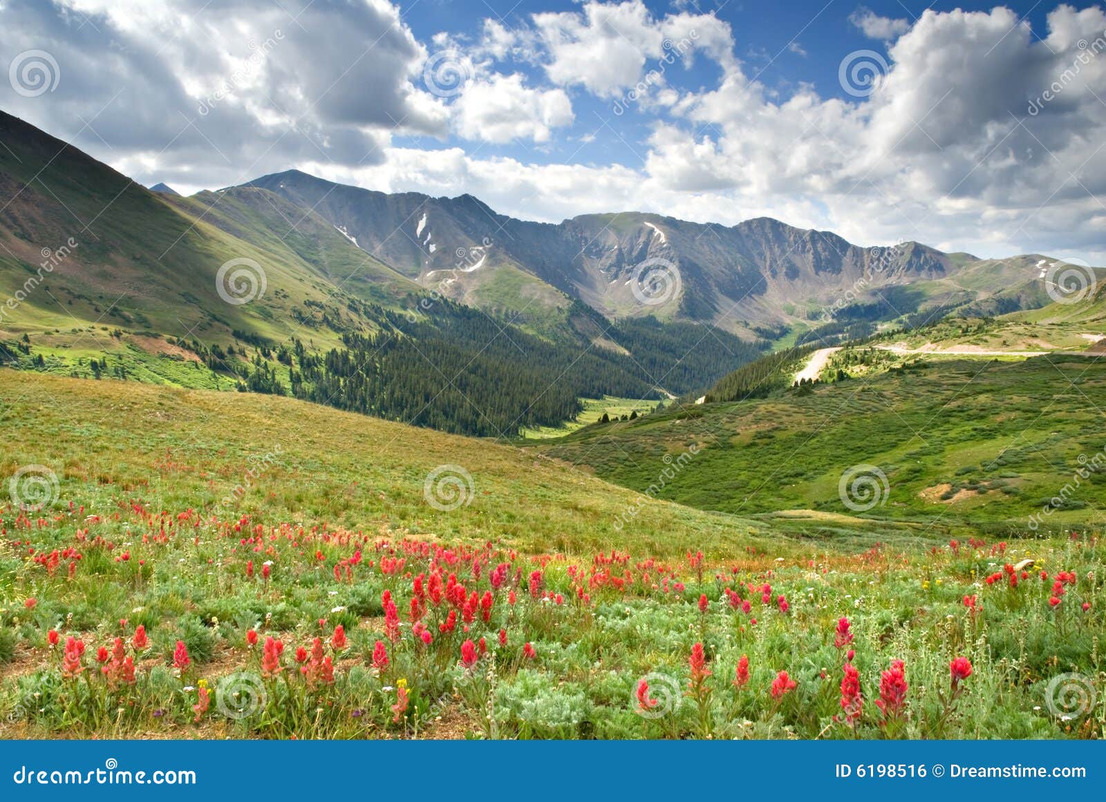 Alpine Meadow stock photo. Image of cold, purity, loveland - 6198516