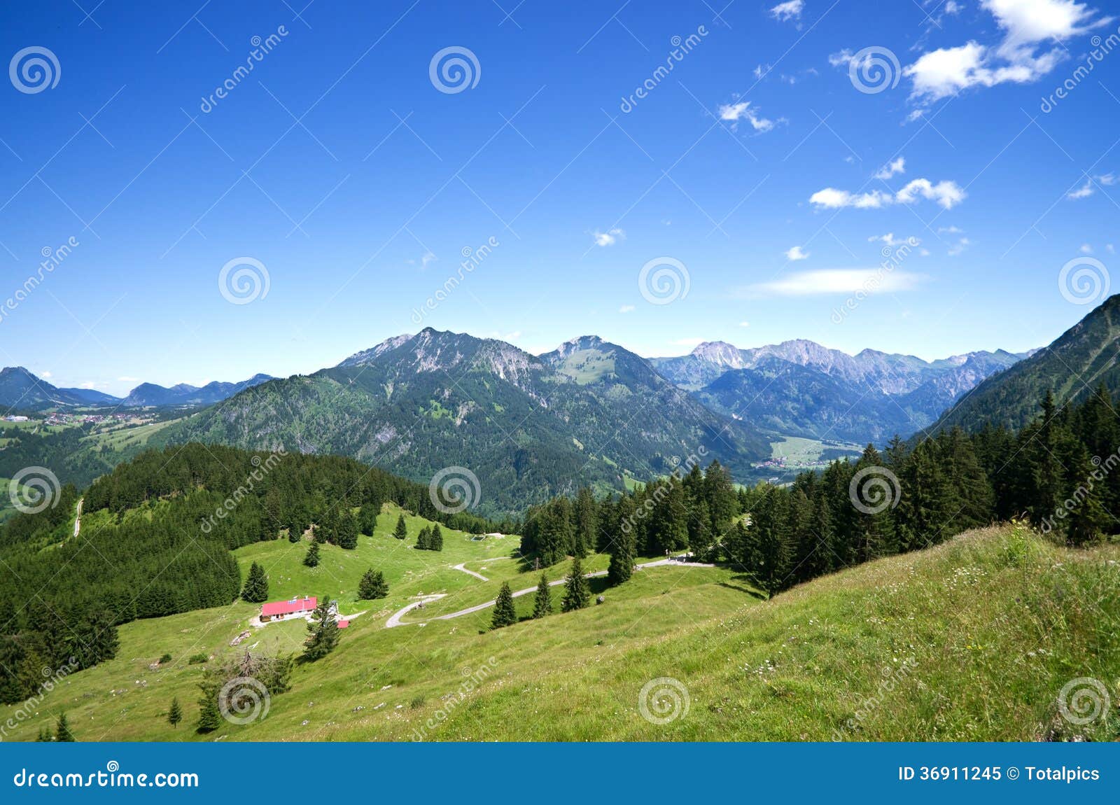Alpine Meadow Allgau Germany Stock Image - Image of marguerites ...