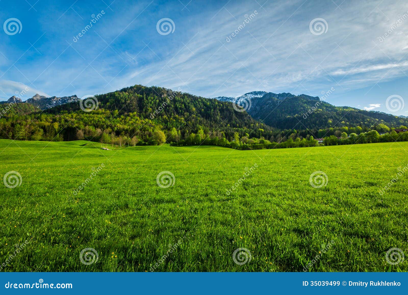 Alpine Meadow in Bavaria, Germany Stock Image - Image of serene ...