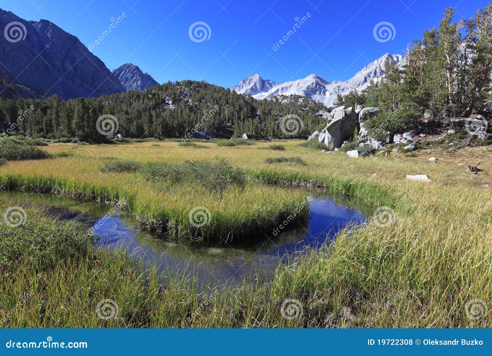 Alpine Meadow in California Mountains Stock Photo - Image of scenic ...