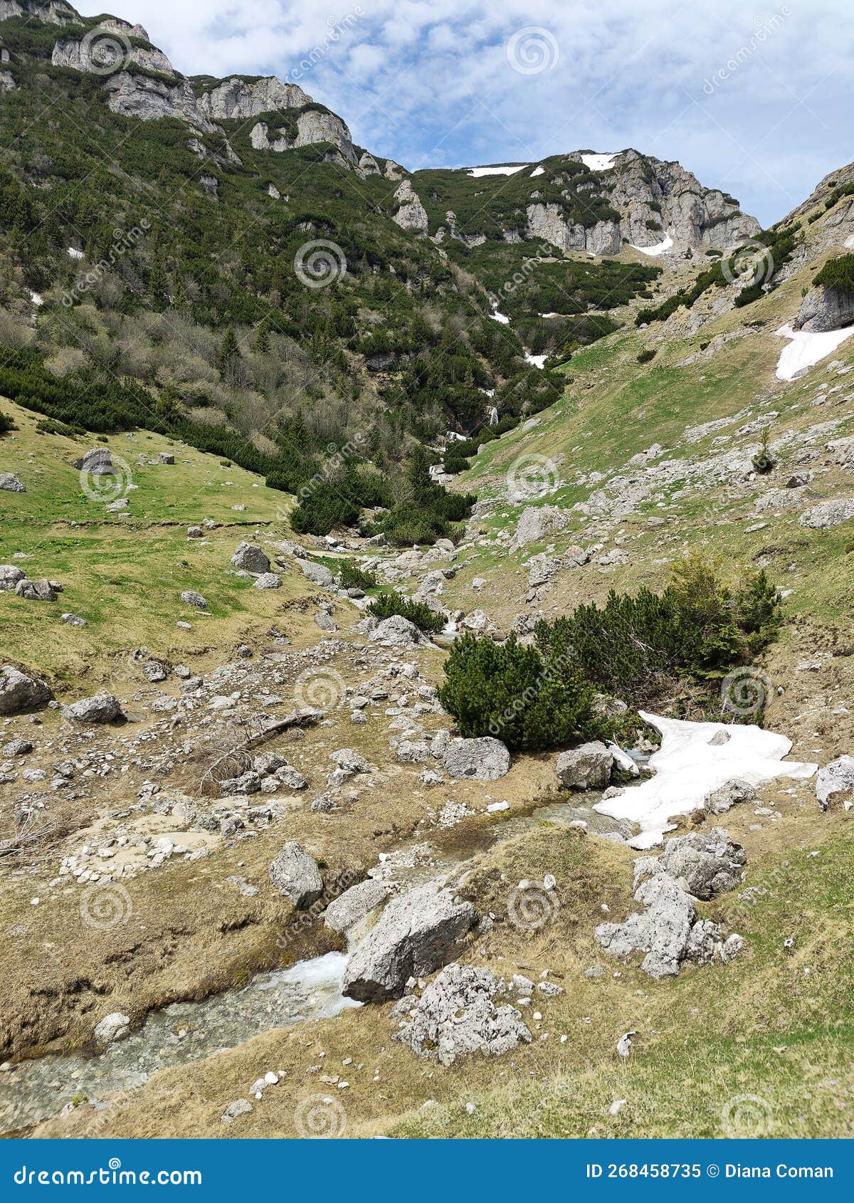 Mountains during spring stock image. Image of hill, bucegi - 268458735