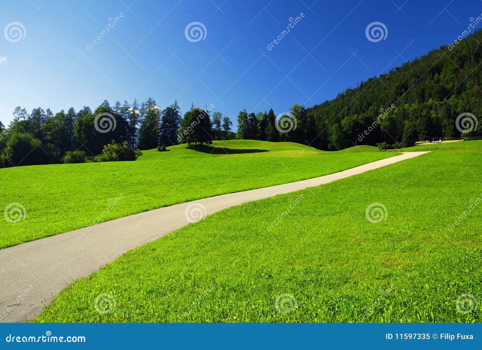 Alpine meadow and road stock image. Image of landscape - 11597335