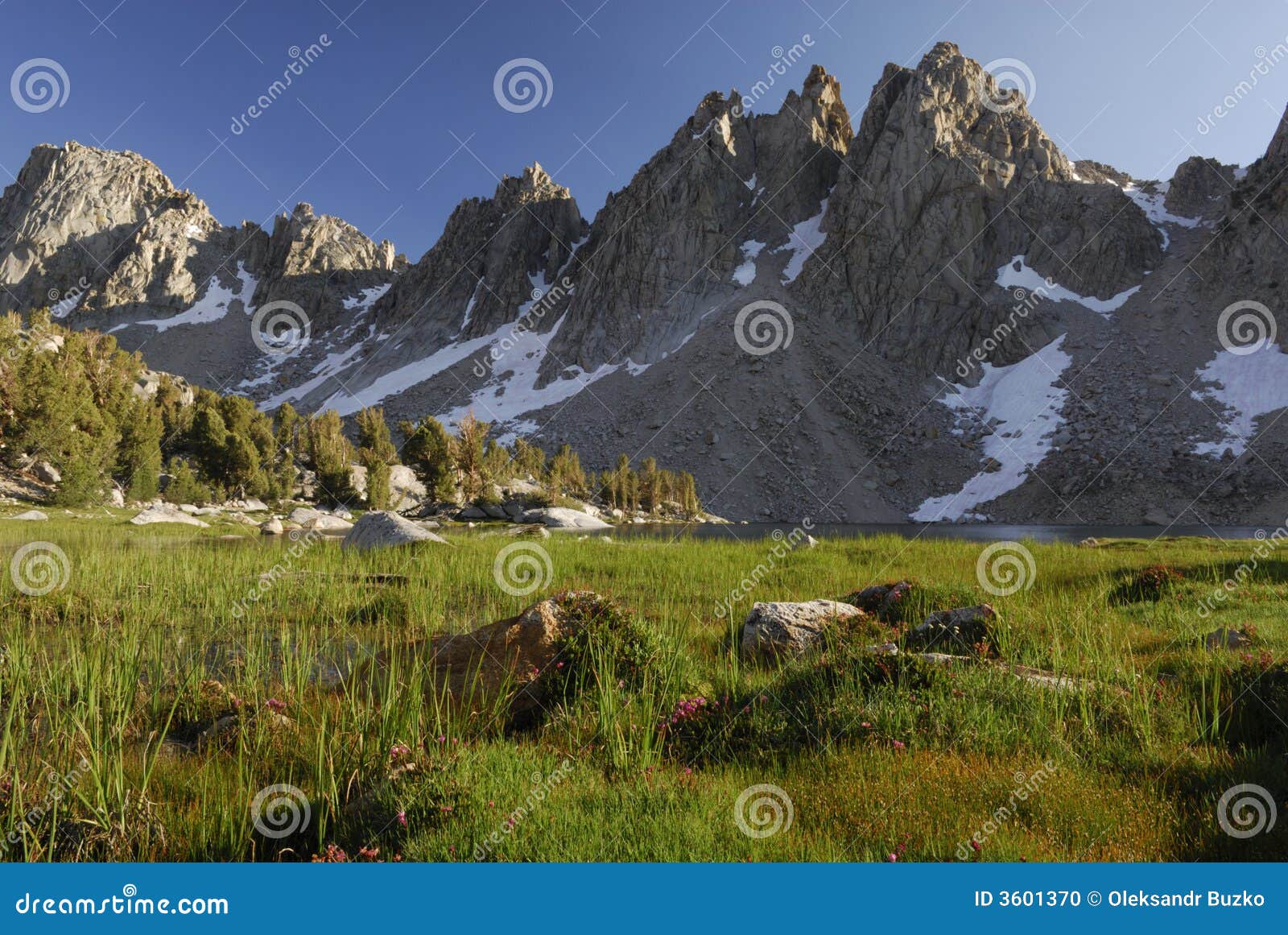 Alpine Meadow in Sierra Nevada Stock Photo - Image of wilderness ...
