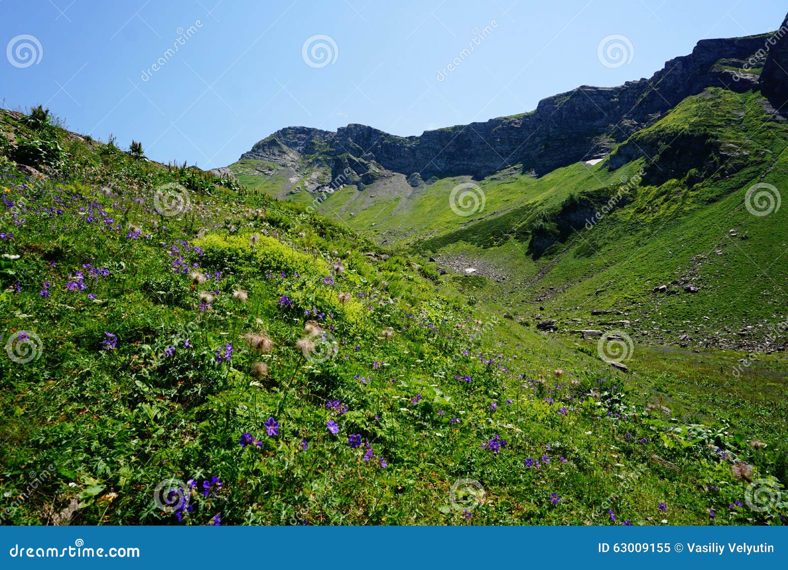 Alpine meadow in Sochi stock image. Image of landscape - 63009155