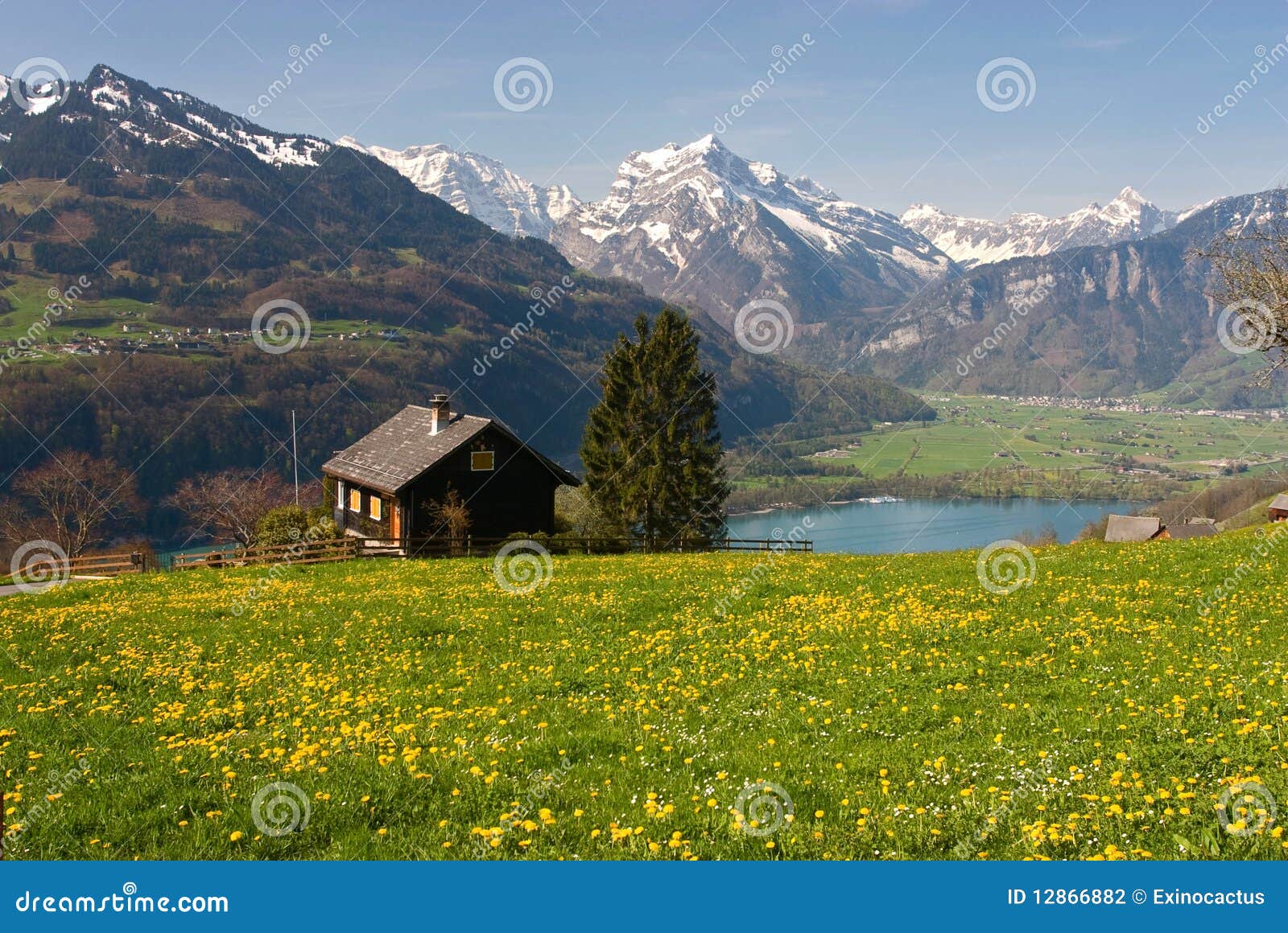 Alpine meadow in spring stock photo. Image of lake, country - 12866882