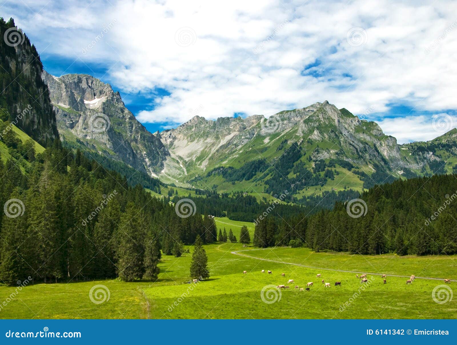 Alpine Meadow in Switzerland Stock Photo - Image of green, swiss: 6141342
