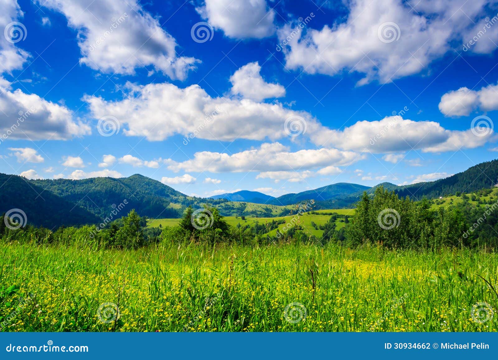 Alpine Meadow with Tall Grass Stock Photo - Image of view, season: 30934662
