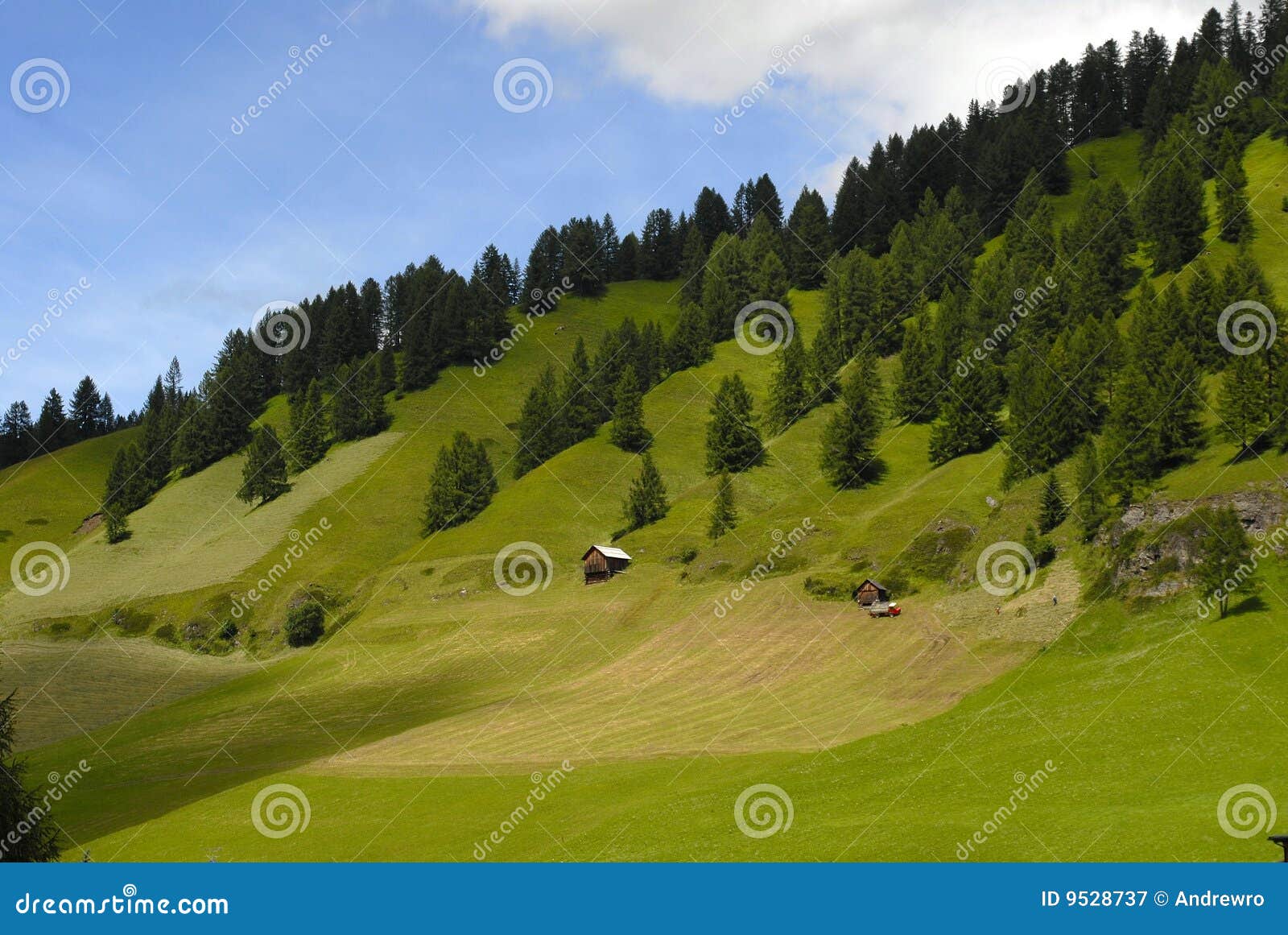 Alpine meadows stock image. Image of alps, alpine, climbing - 9528737