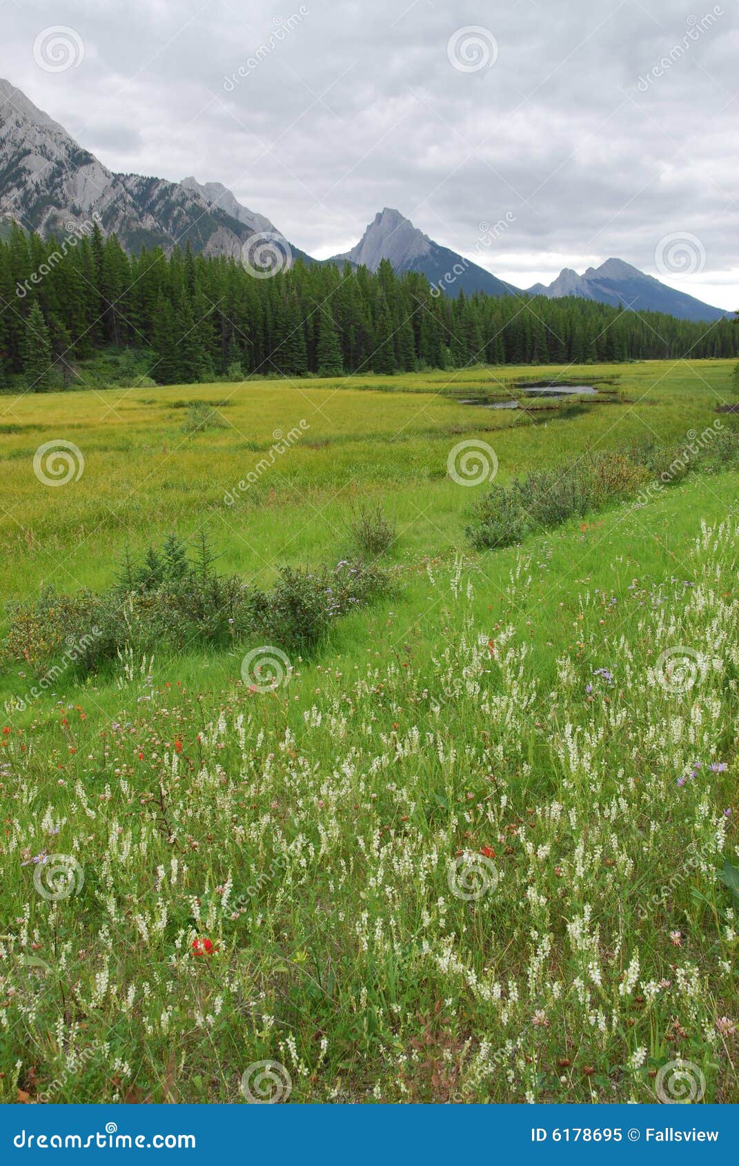 Alpine Meadows and Mountains Stock Image - Image of fresh, country: 6178695