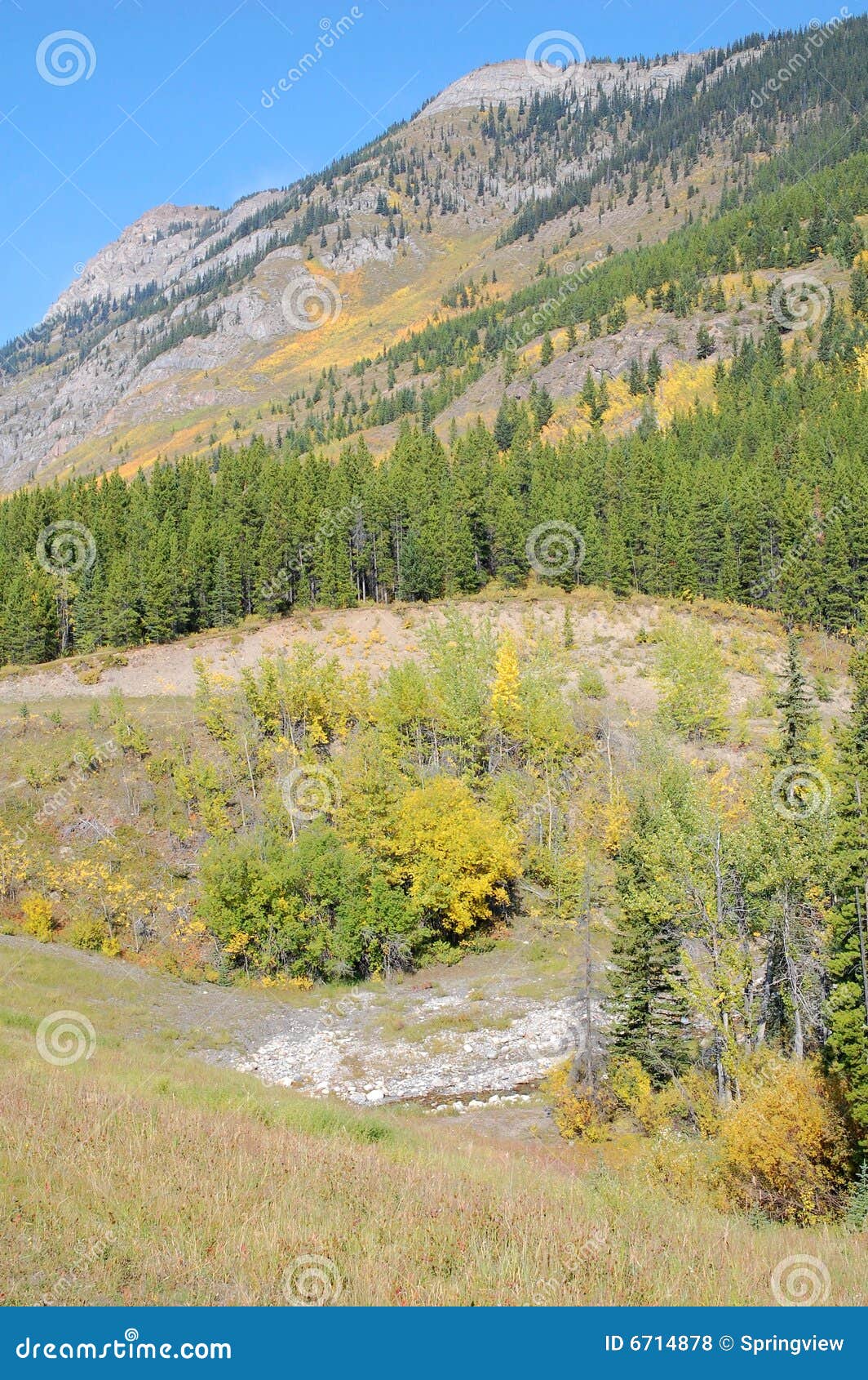 Alpine Meadows and Mountains Stock Photo - Image of mountains, fields ...