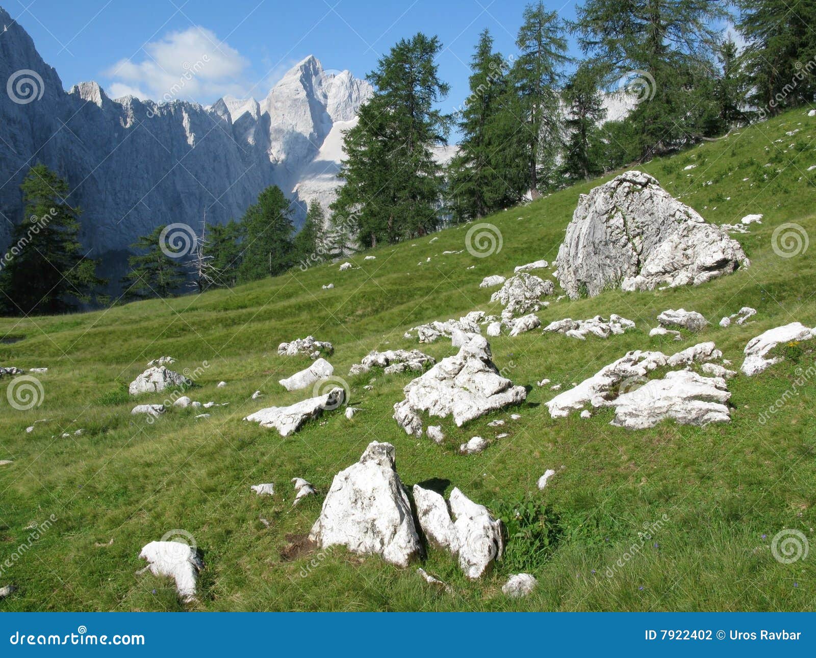 Alpine Medow With Peak In Background Picture. Image: 7922402