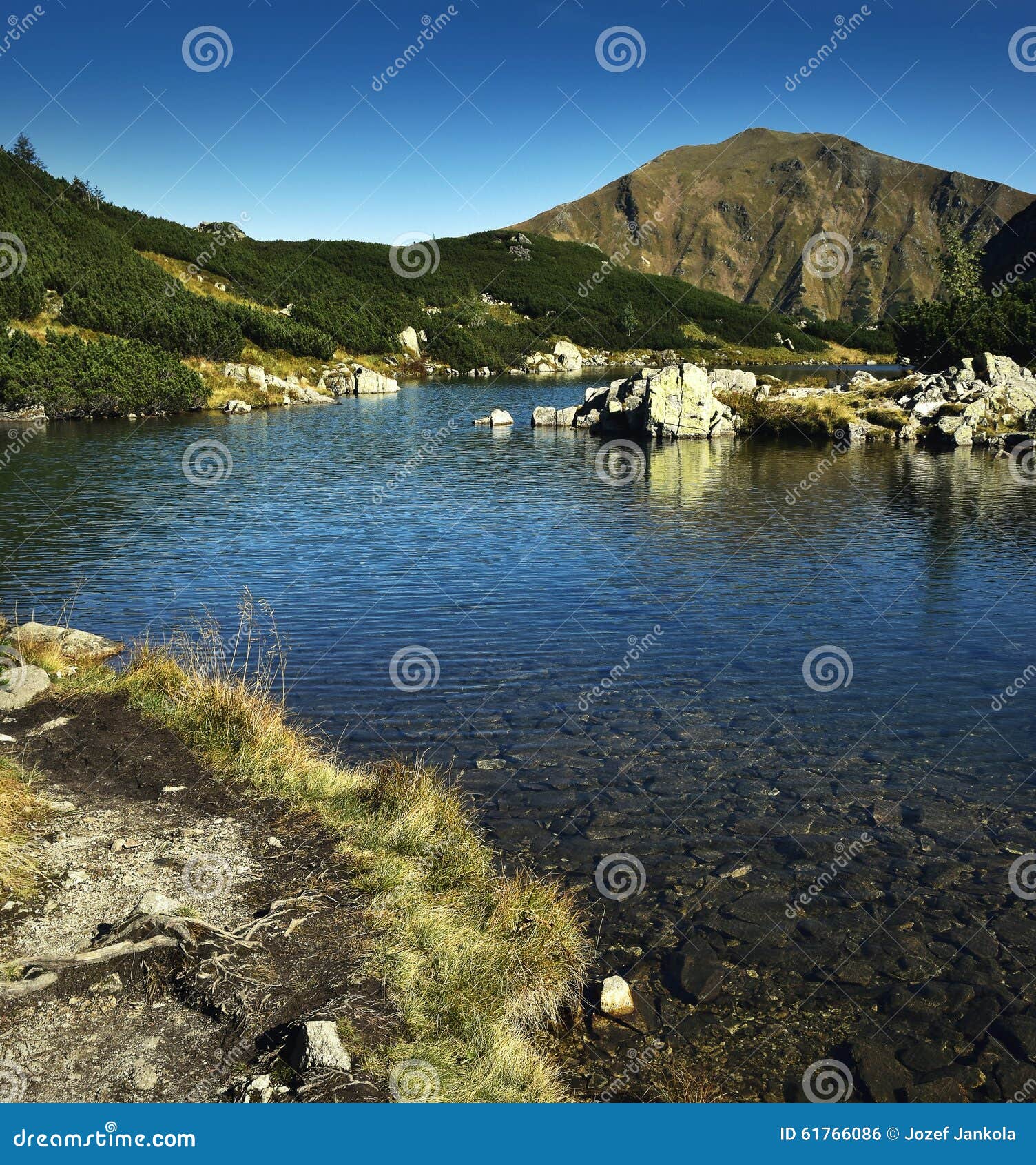 Alpine mountain Lake stock photo. Image of green, natural - 61766086