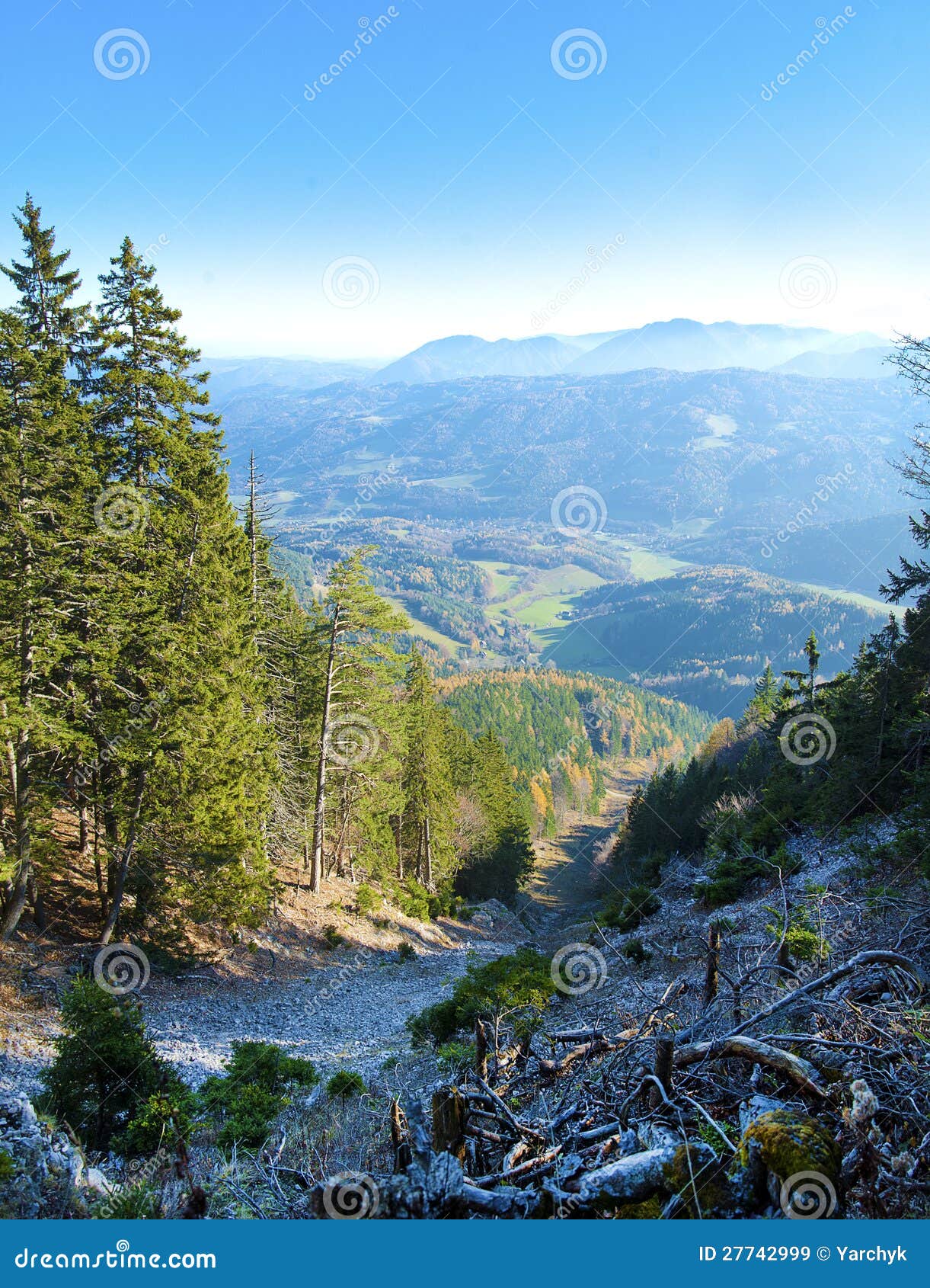 Alpine Mountains Forest Scene Stock Image - Image of cliff, woods: 27742999