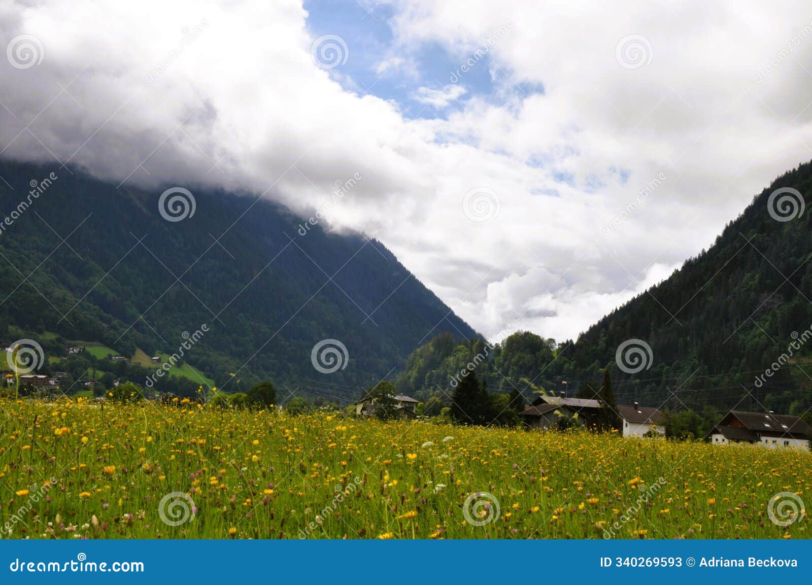 Alpine Nature Landscape in Spring - Summer Time Stock Image - Image of ...
