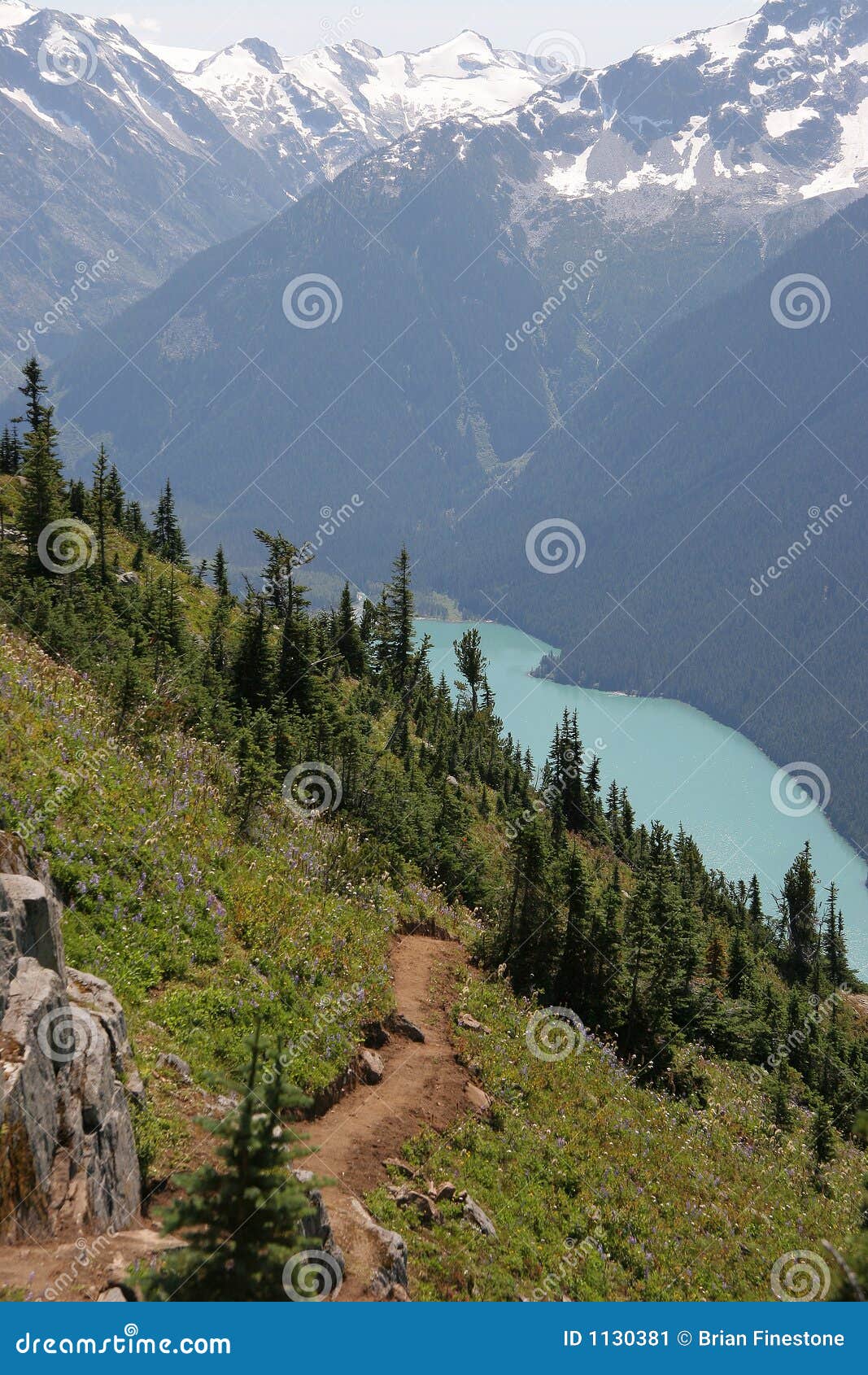 Alpine Paradise stock image. Image of hiking, landscape - 1130381
