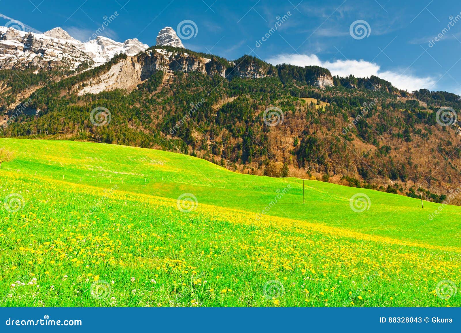 Alpine Pasture stock image. Image of foliage, farm, cultivated - 88328043