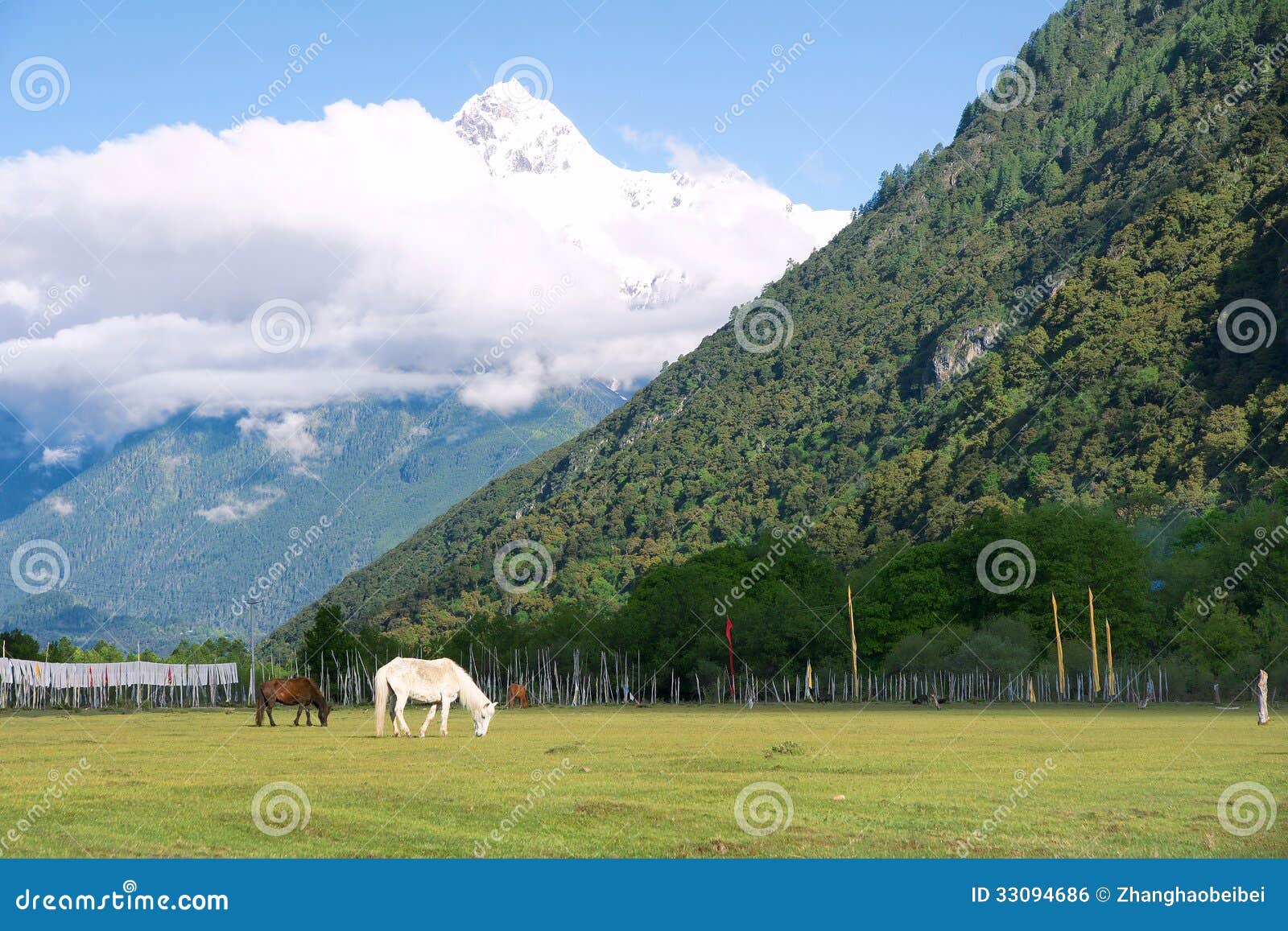 Alpine pasture stock photo. Image of alpine, pasture - 33094686