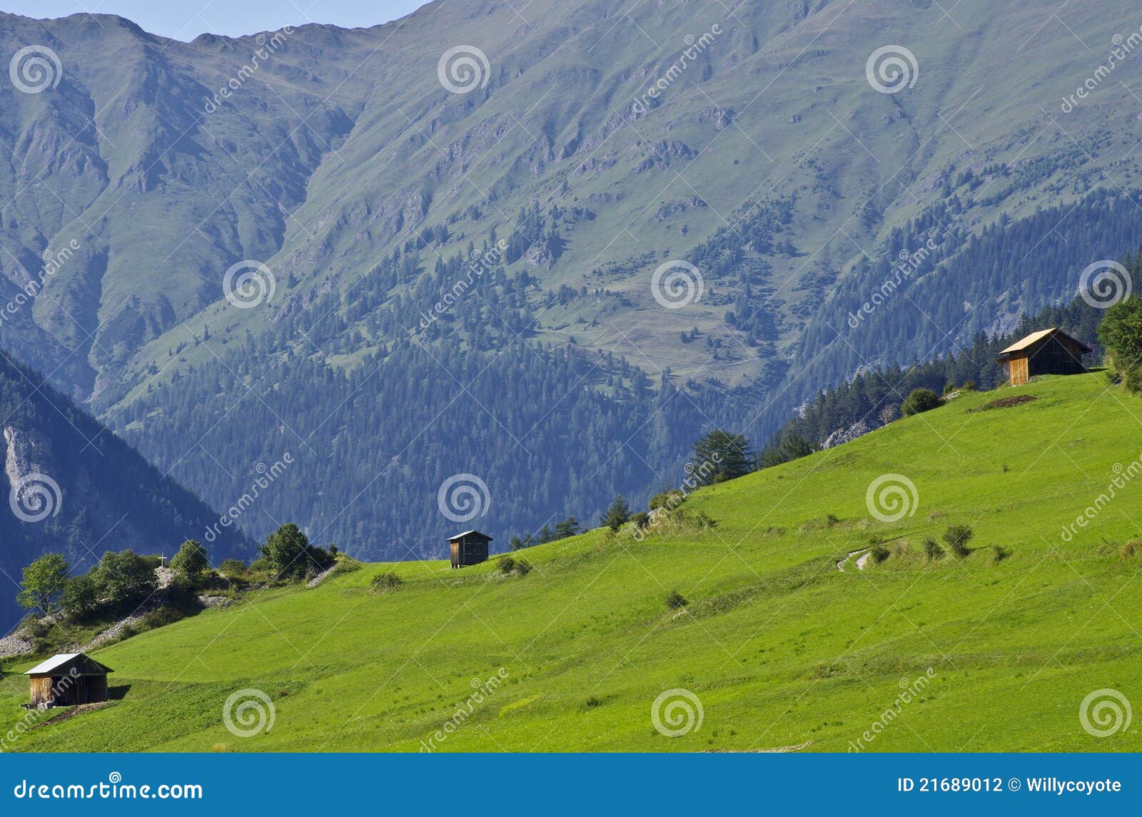 Alpine pastures stock photo. Image of vacation, europe - 21689012