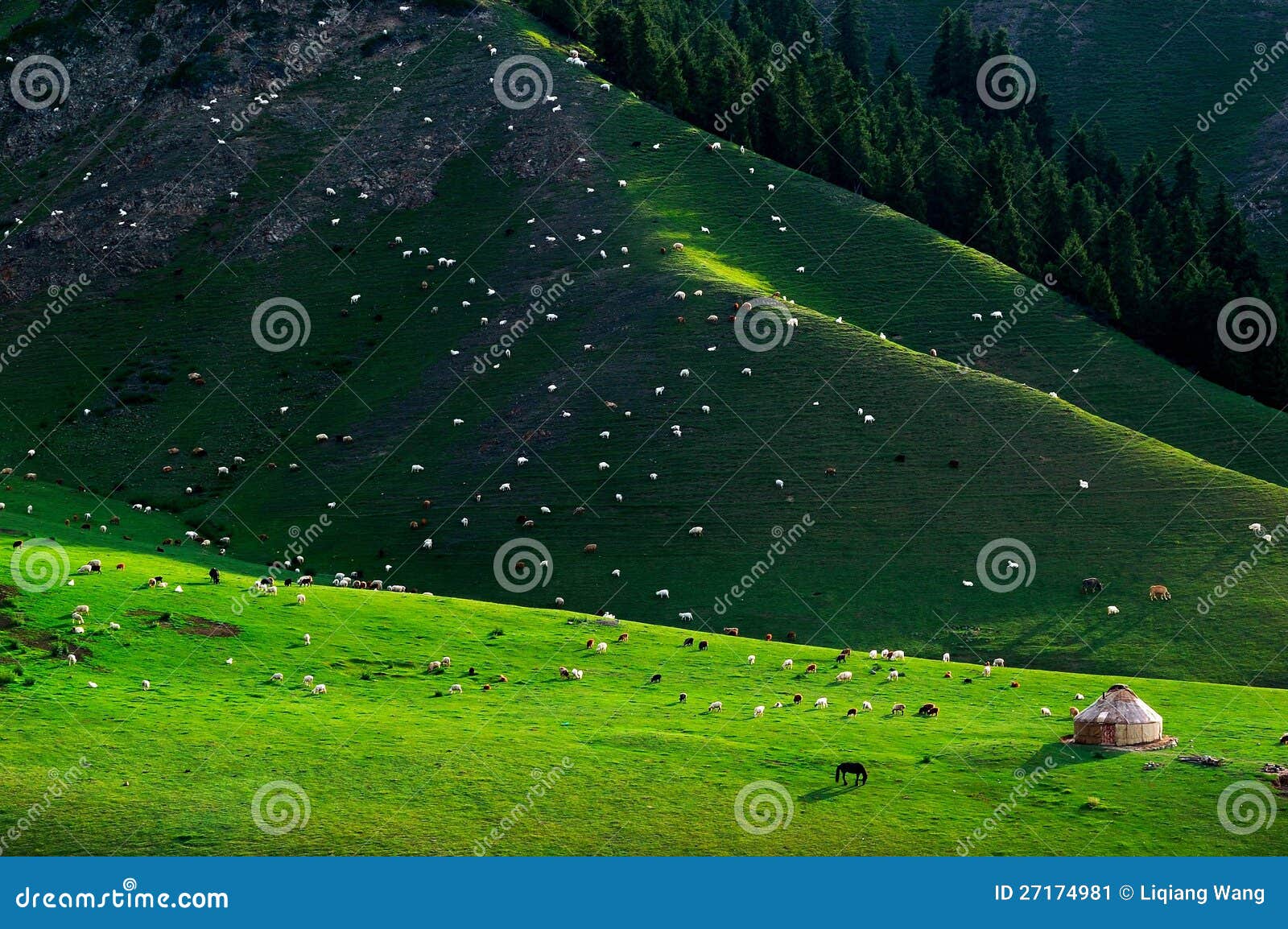 Alpine pastures stock image. Image of natural, vegetation - 27174981