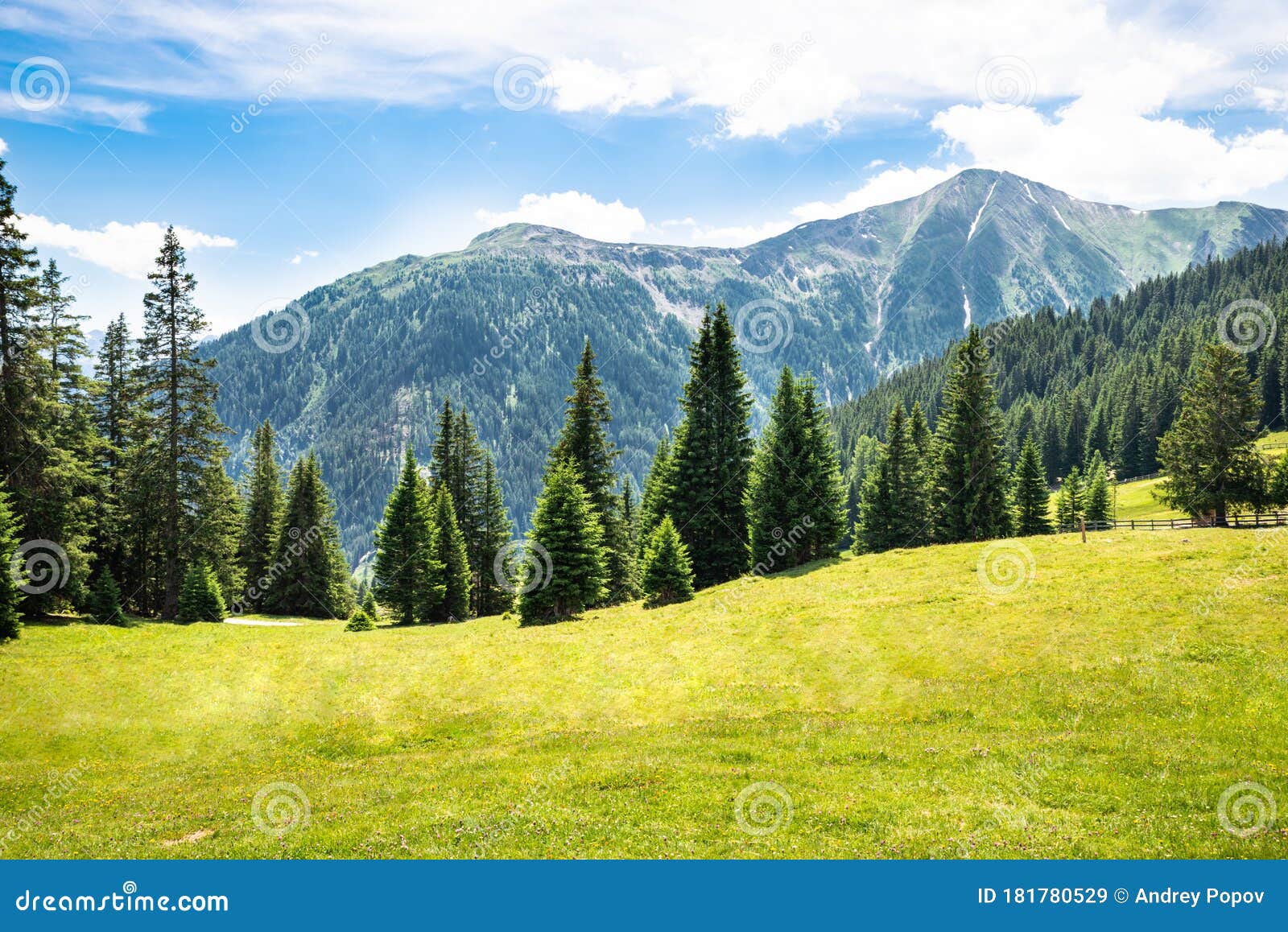 Alpine Pastures and Fir Trees Stock Image - Image of europe, highlands ...