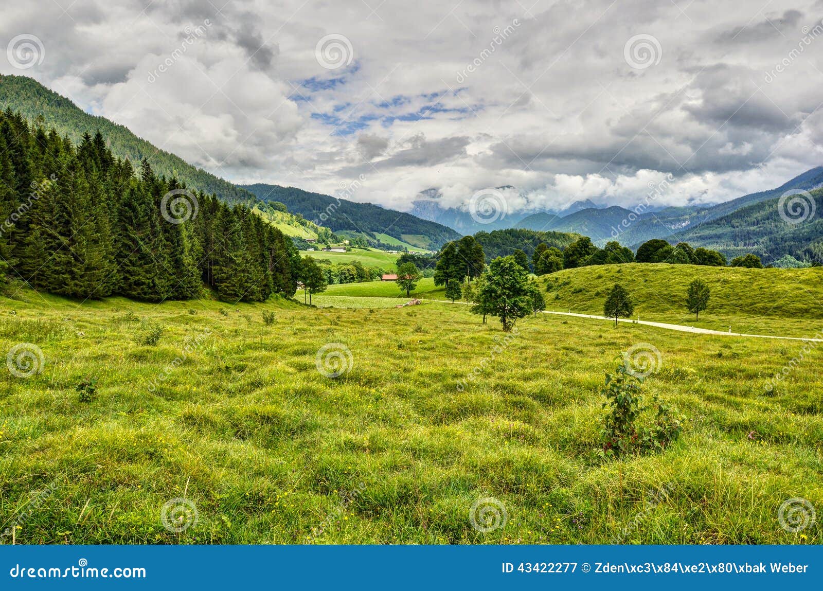 Alpine pastures stock image. Image of forest, green, panorama - 43422277