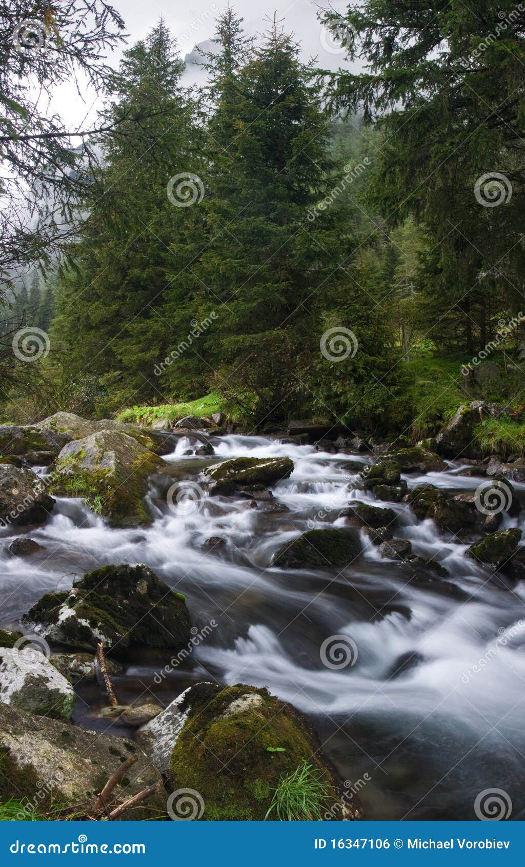 Alpine river stock photo. Image of wilderness, motion - 16347106