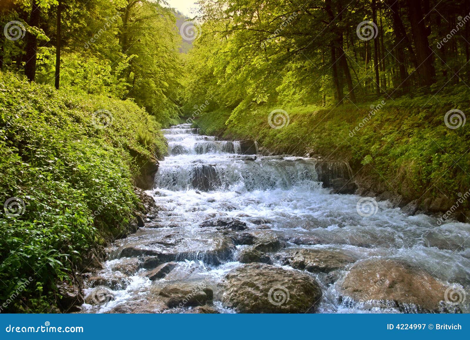 Alpine river stock image. Image of landscape, clouds, flora - 4224997